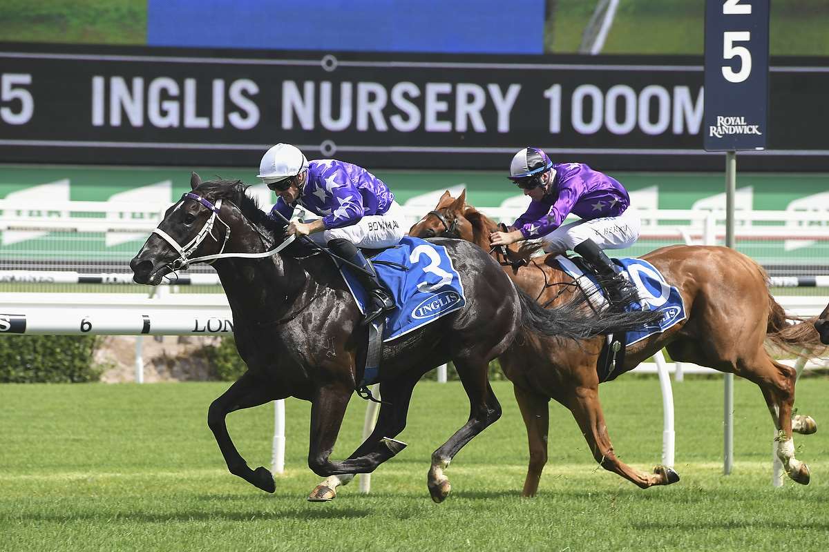 Brazen Beau lands first Stakes winner | Australia
