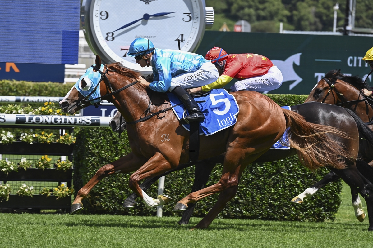 Another Stakes-winning two-year-old for Street Boss | America