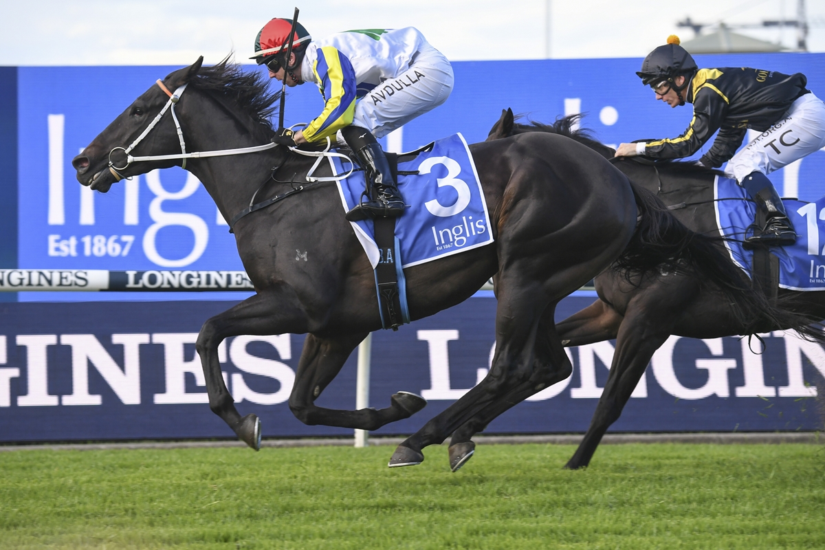 Midland brings up the dozen for Brazen Beau | Australia