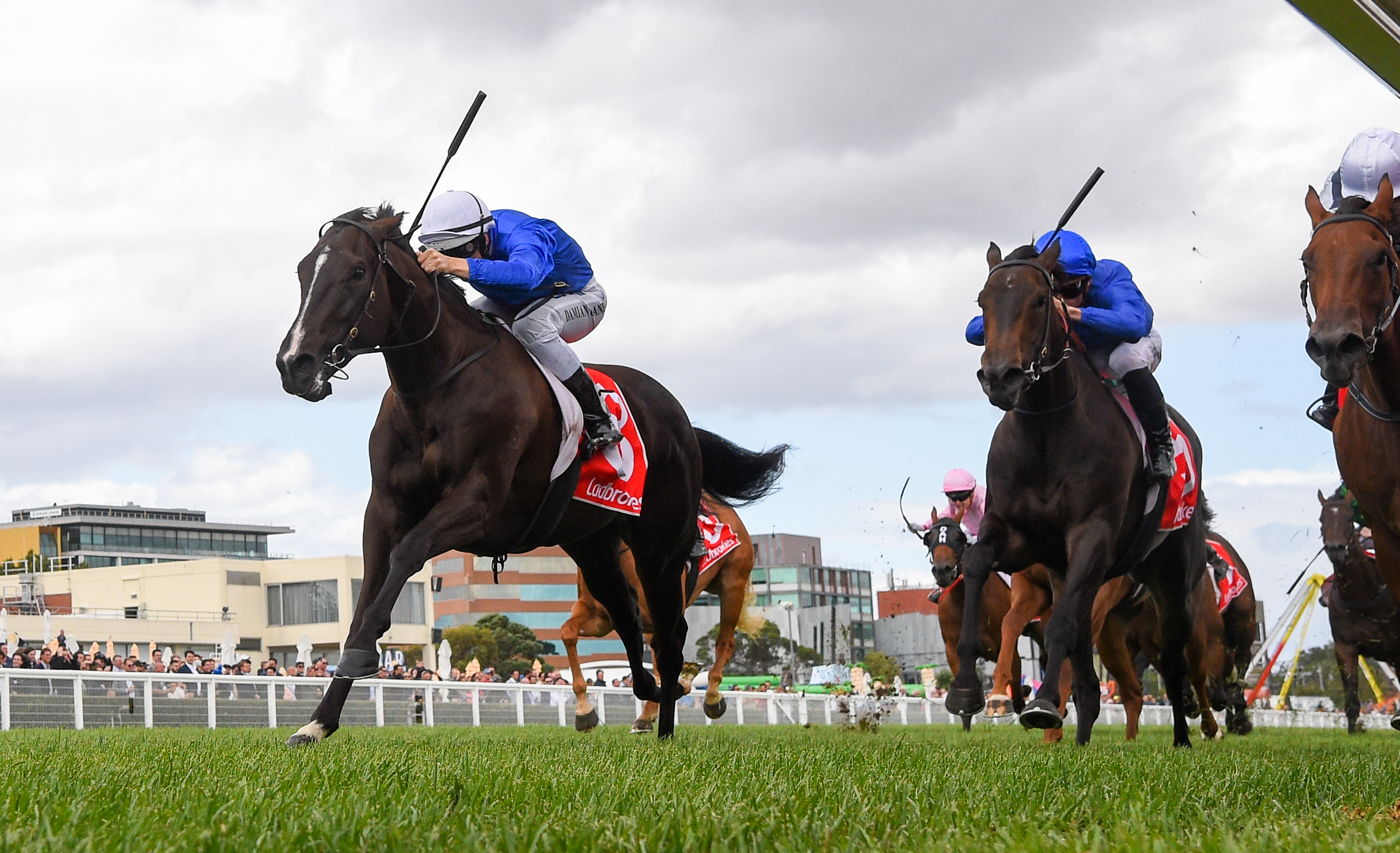 Blue Diamond prospects emerge for Lonhro at Caulfield | Australia