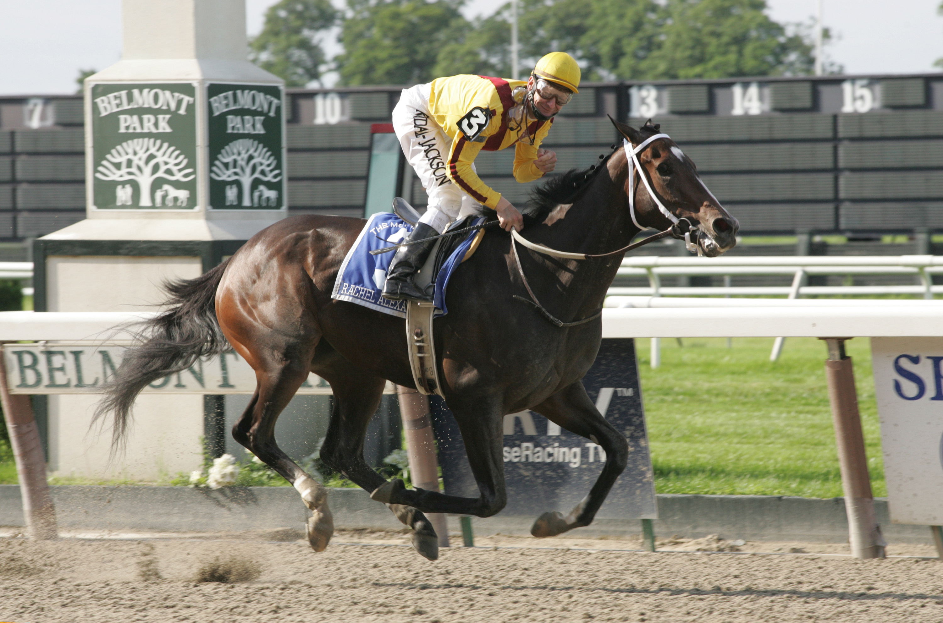 Rachel Alexandra and Zenyatta elected to Hall of Fame | America