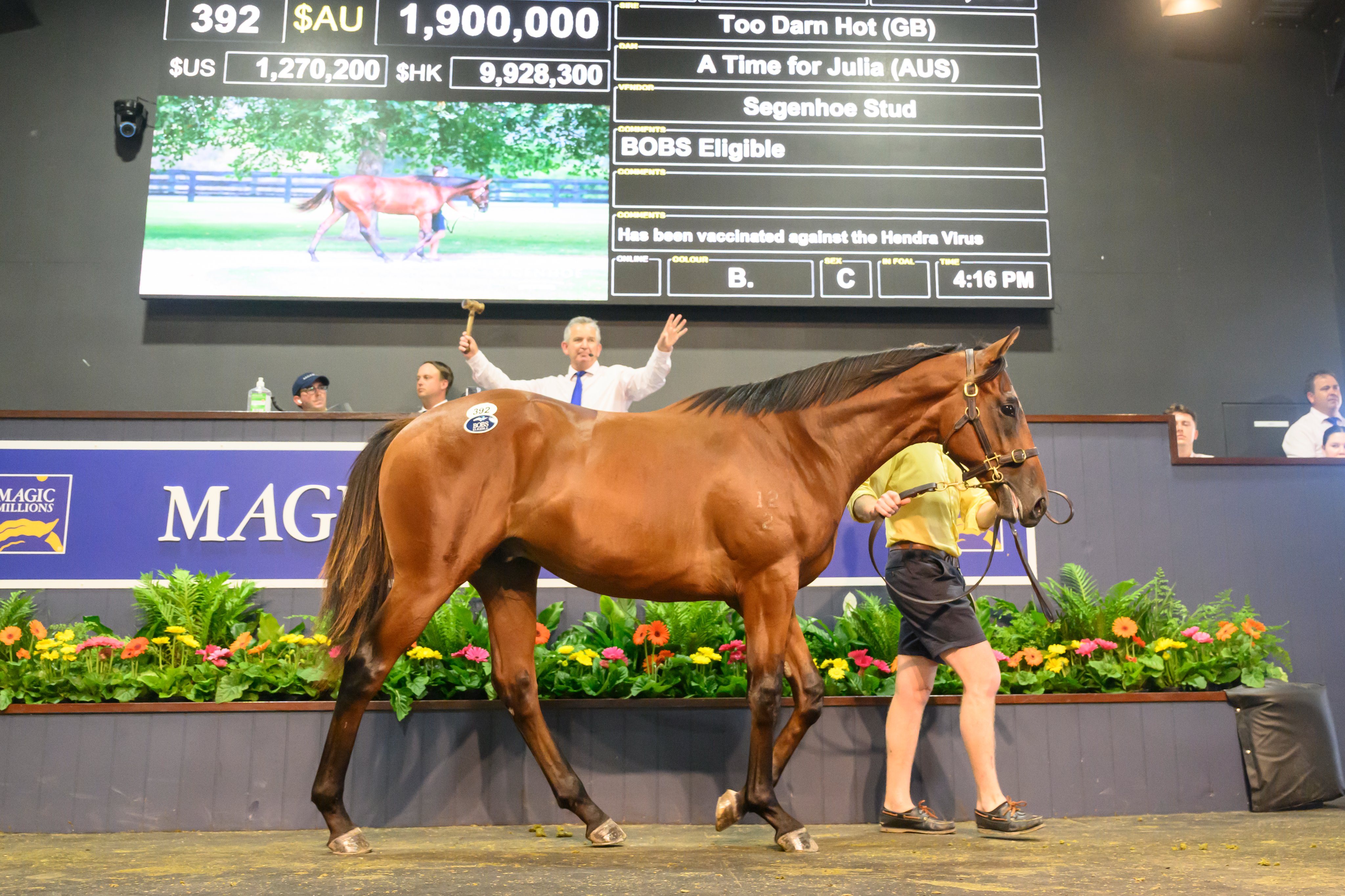 Fairway Thoroughbreds celebrates top honours with Too Darn Hot colt at ...