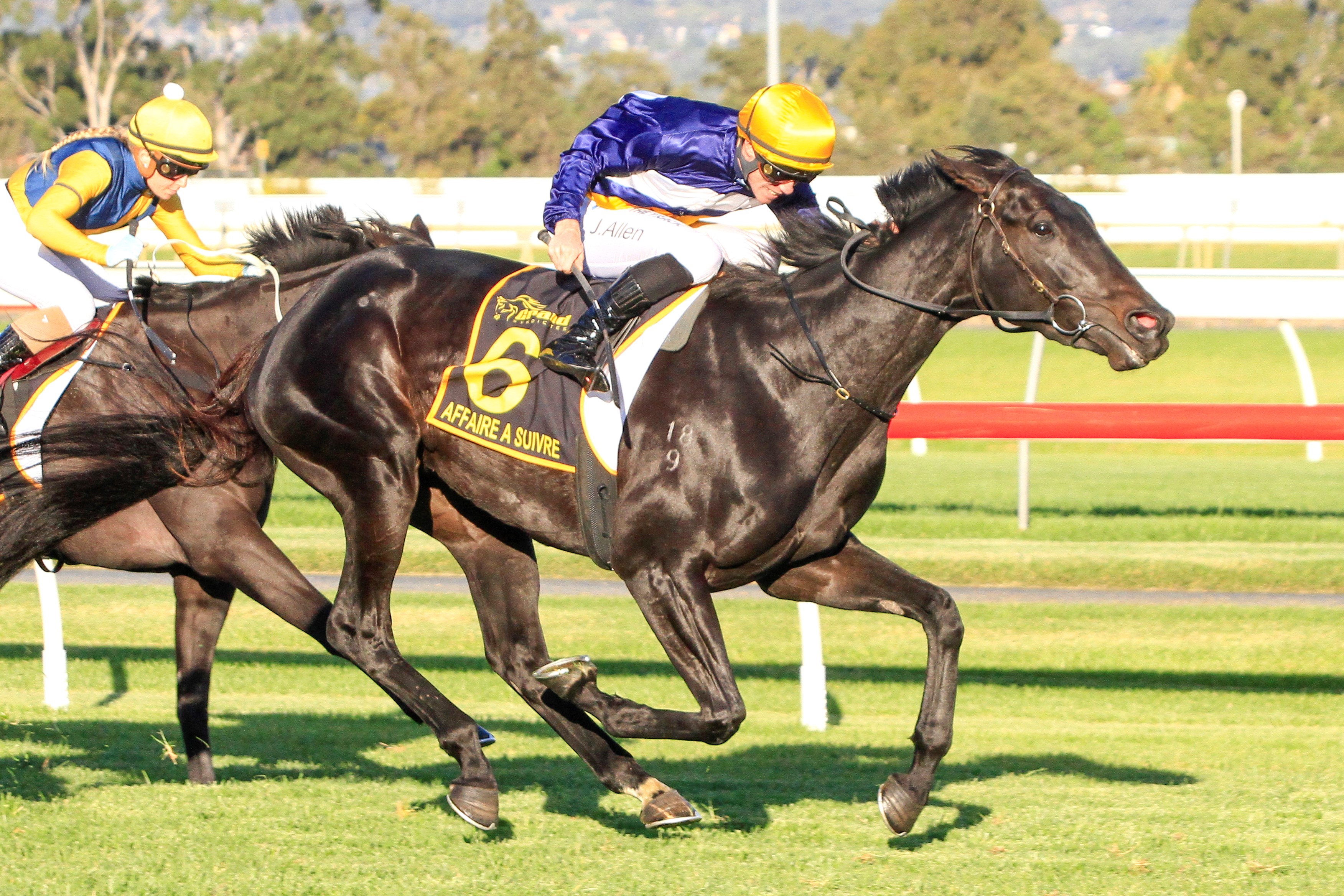 G1 winner for Astern with Affaire A Suivre winning the Oaks | Australia