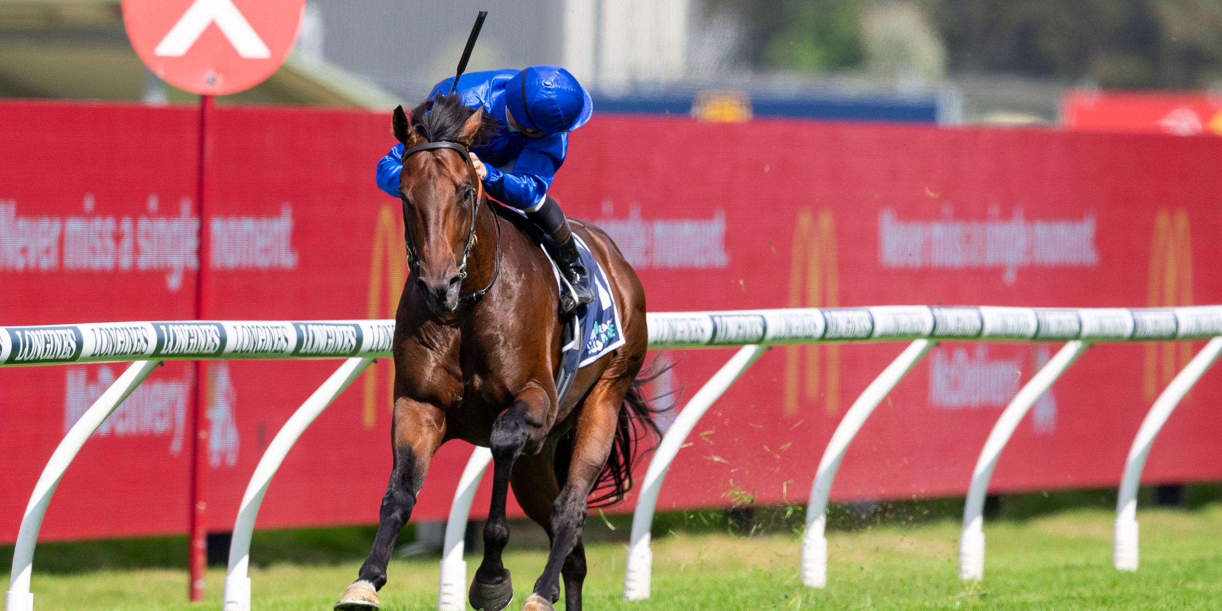 The Darley stallions dominate the 2023 Hunter Thoroughbred Breeders ...
