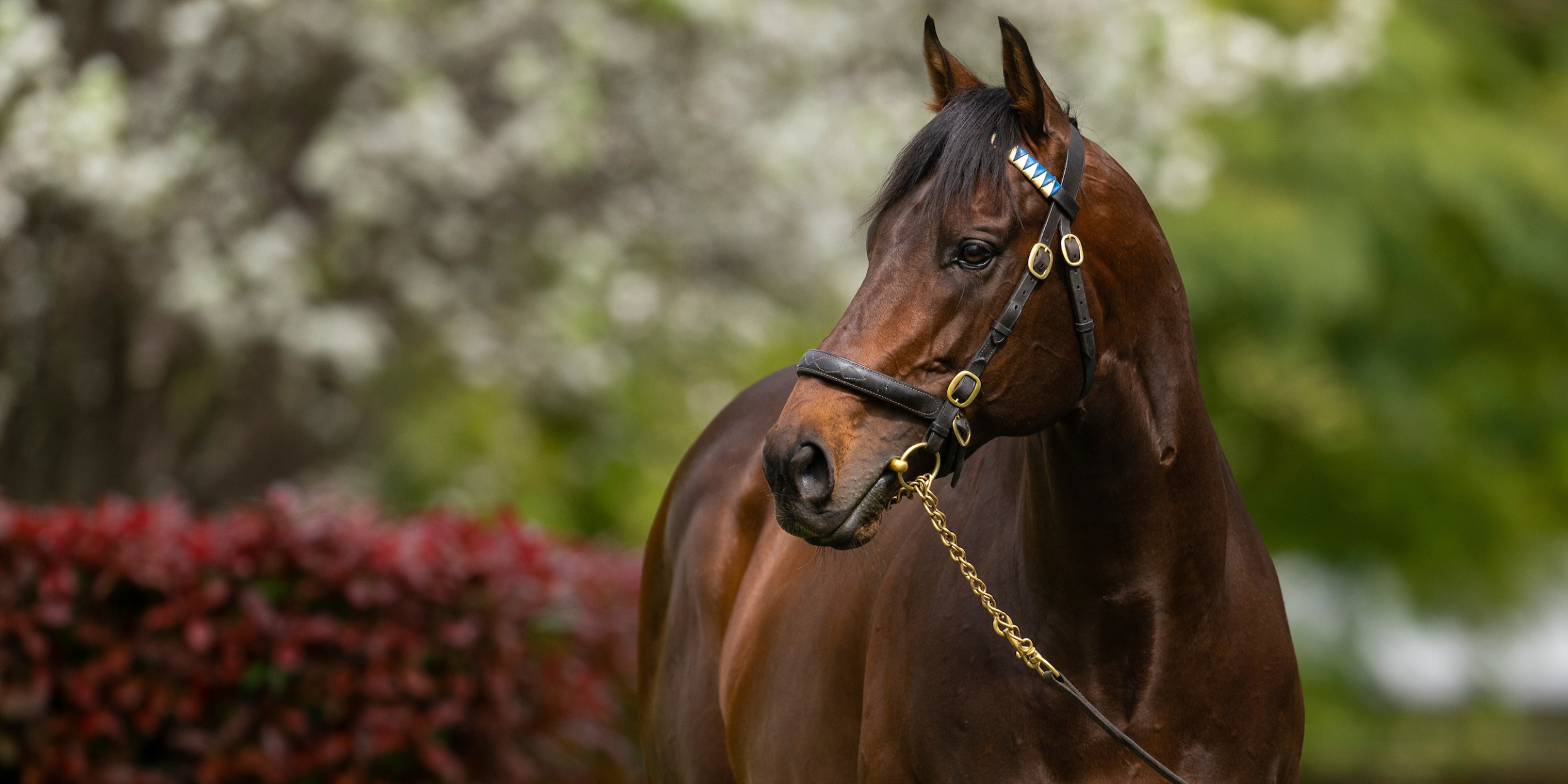 Pinatubo | Australia