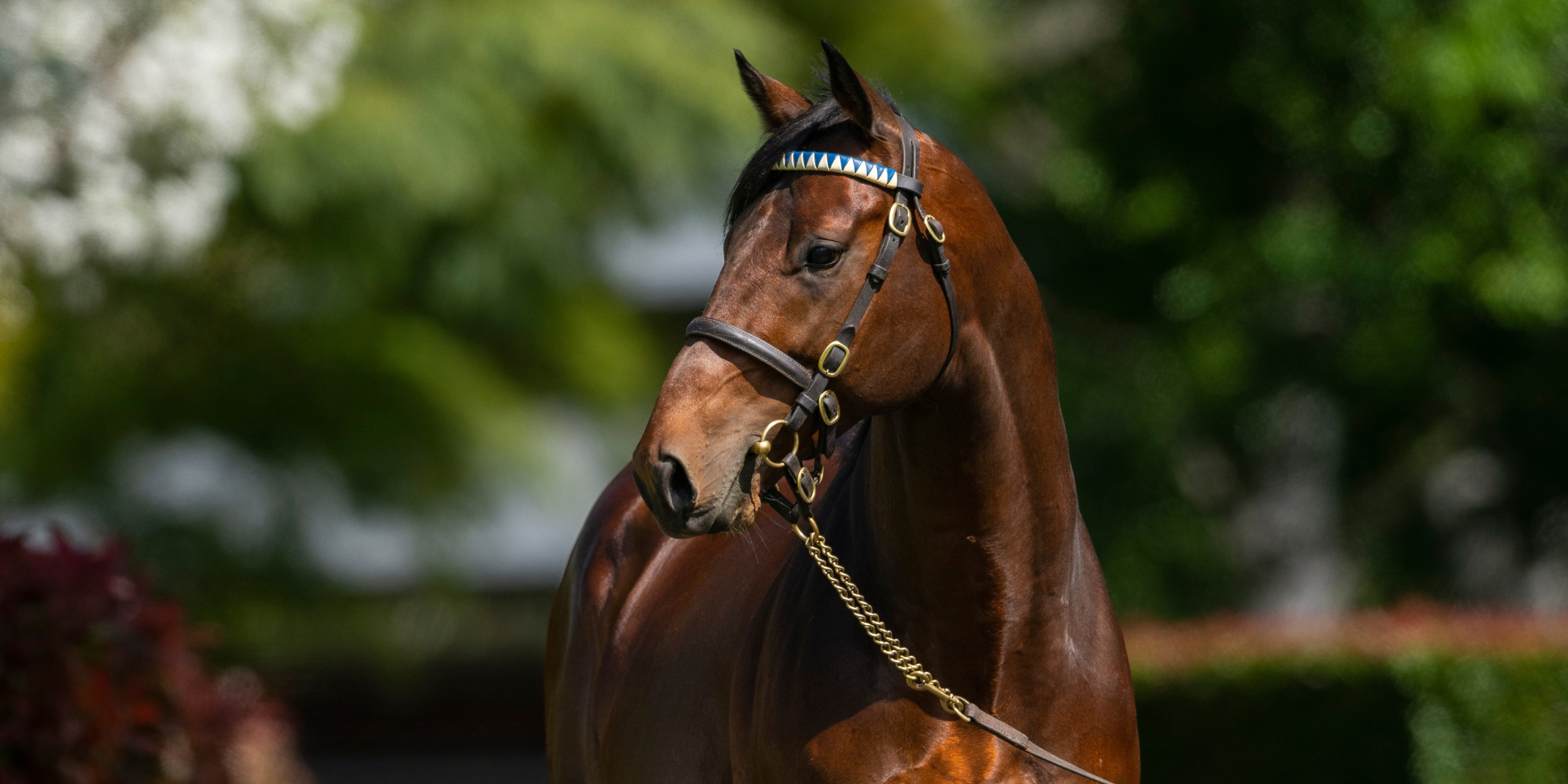 Victor Ludorum | Australia