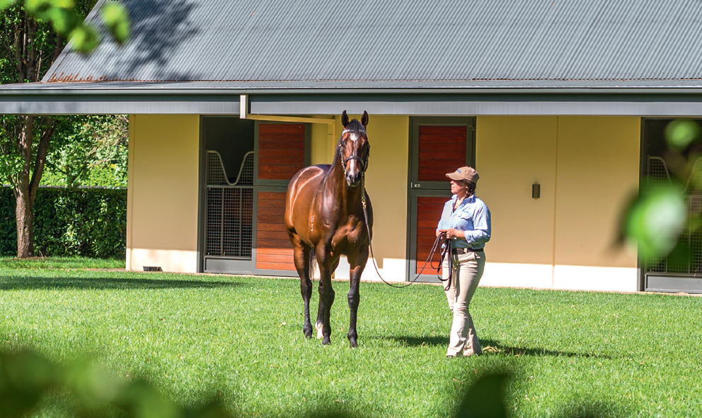 Astern makes impressive Australian sales debut | Australia