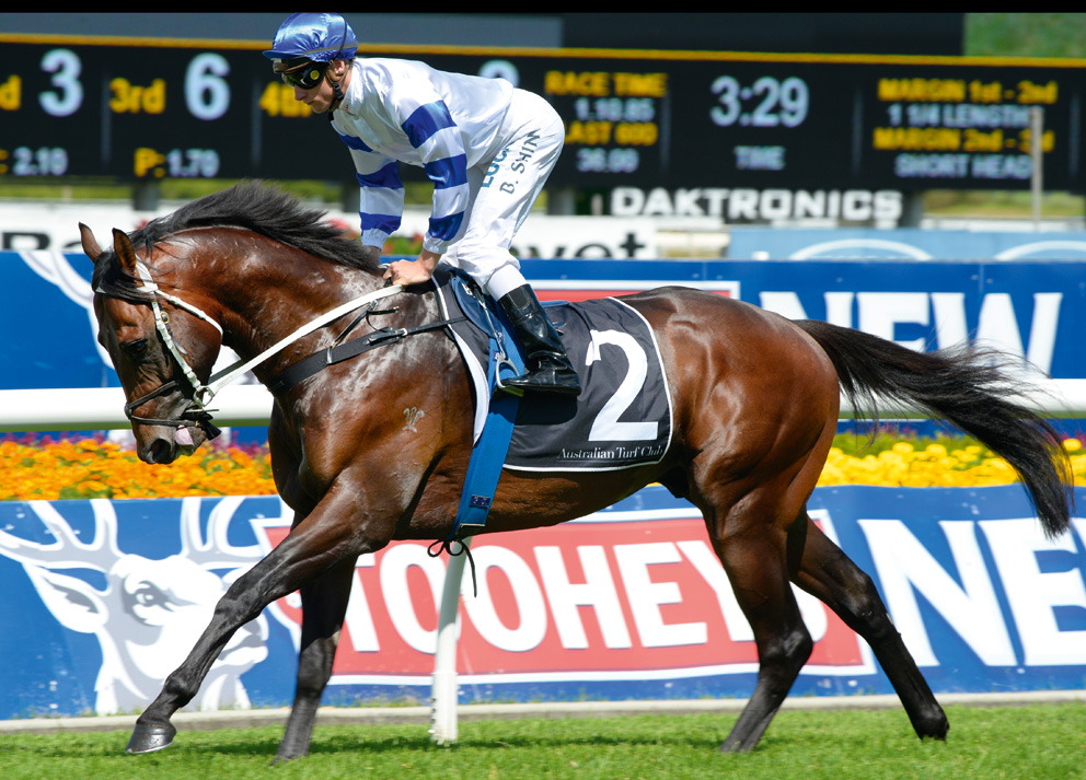Multiple G1 winner Kermadec to join the Darley roster | Australia