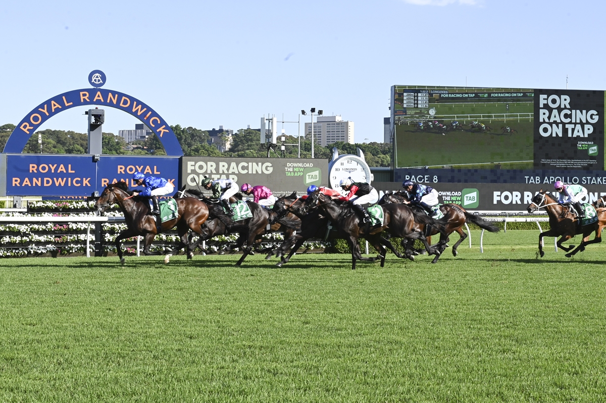 Stakes race win No.12 for Anamoe | America