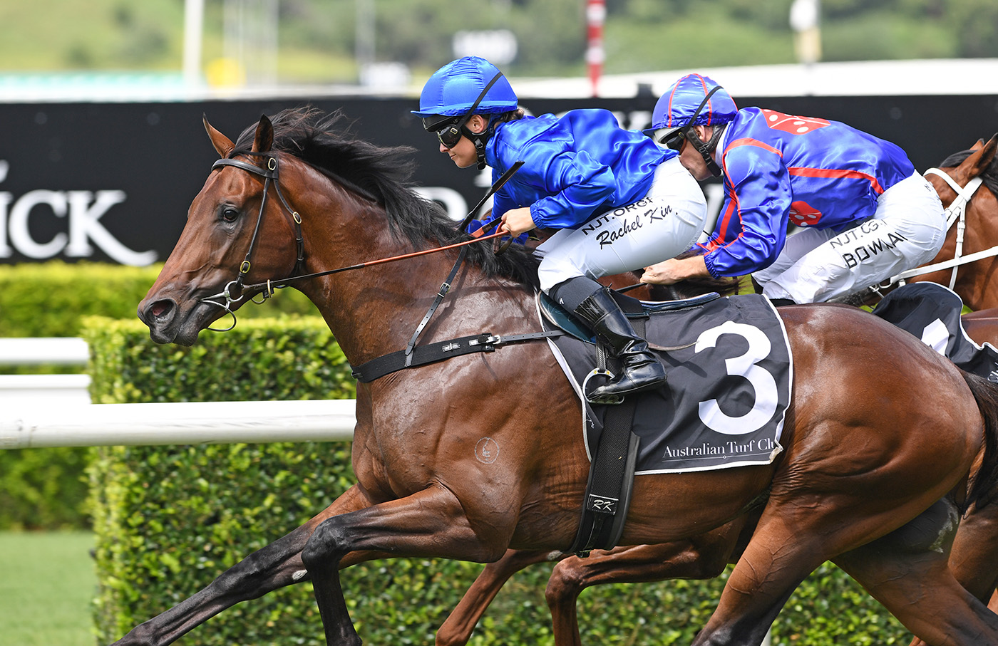 Anamoe stakes G1 Golden Slipper claims and adds to sire's phenomenal ...