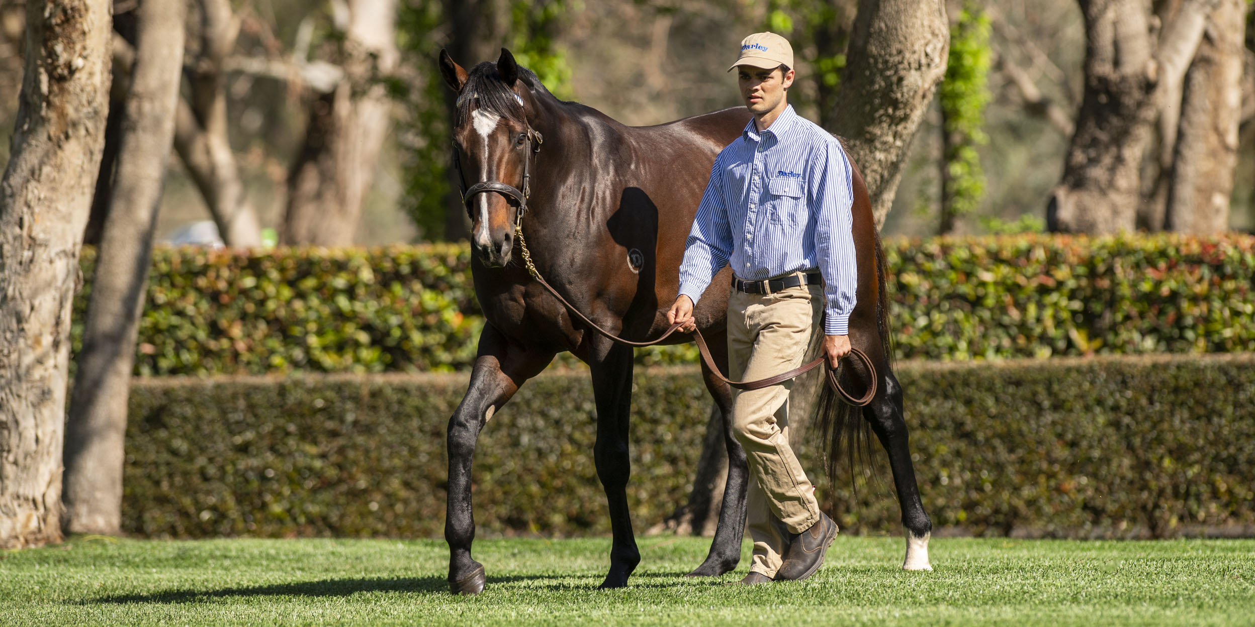 Aft Cabin back to racing in style | Australia