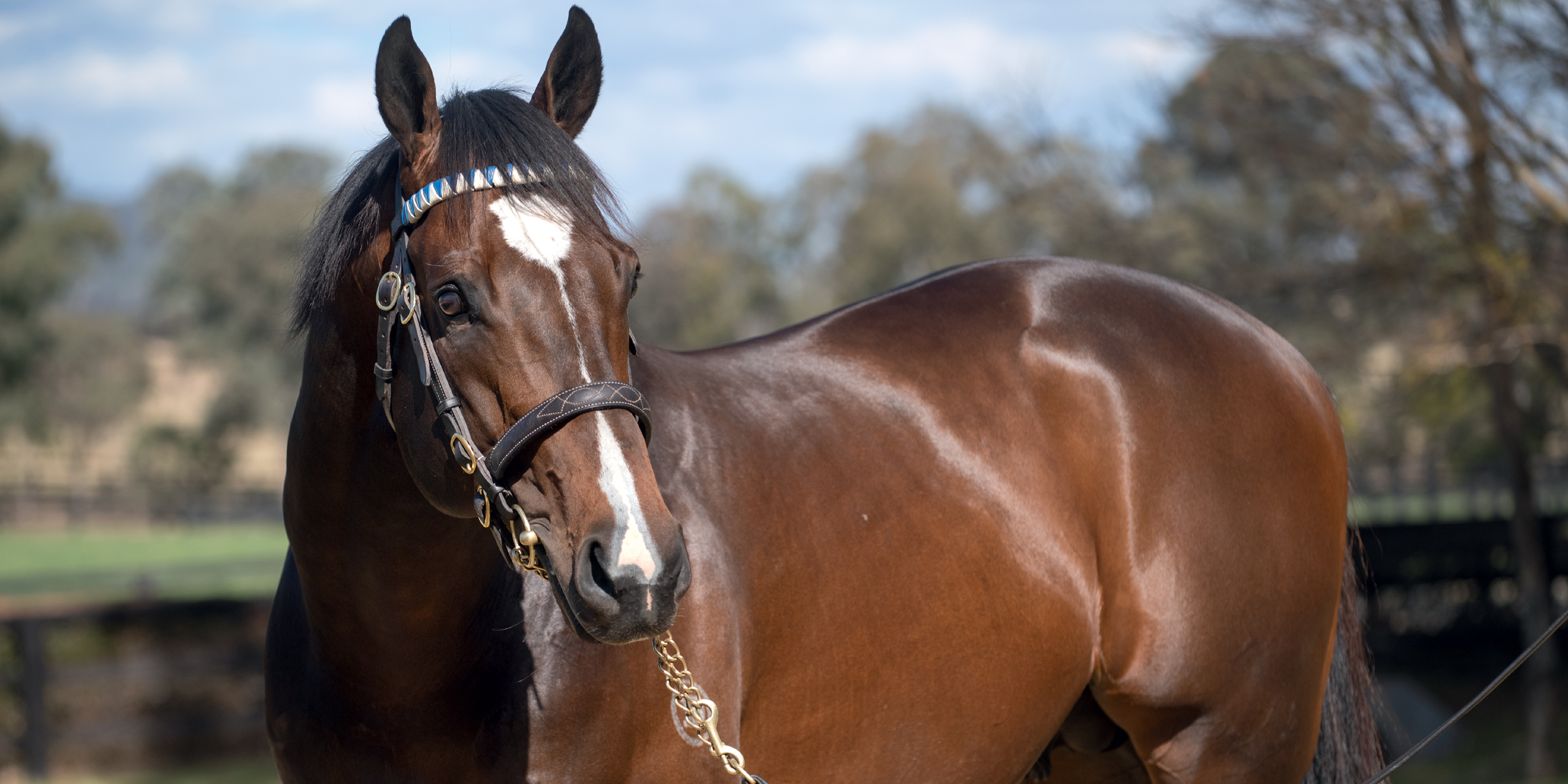 New Group winner for Astern | America