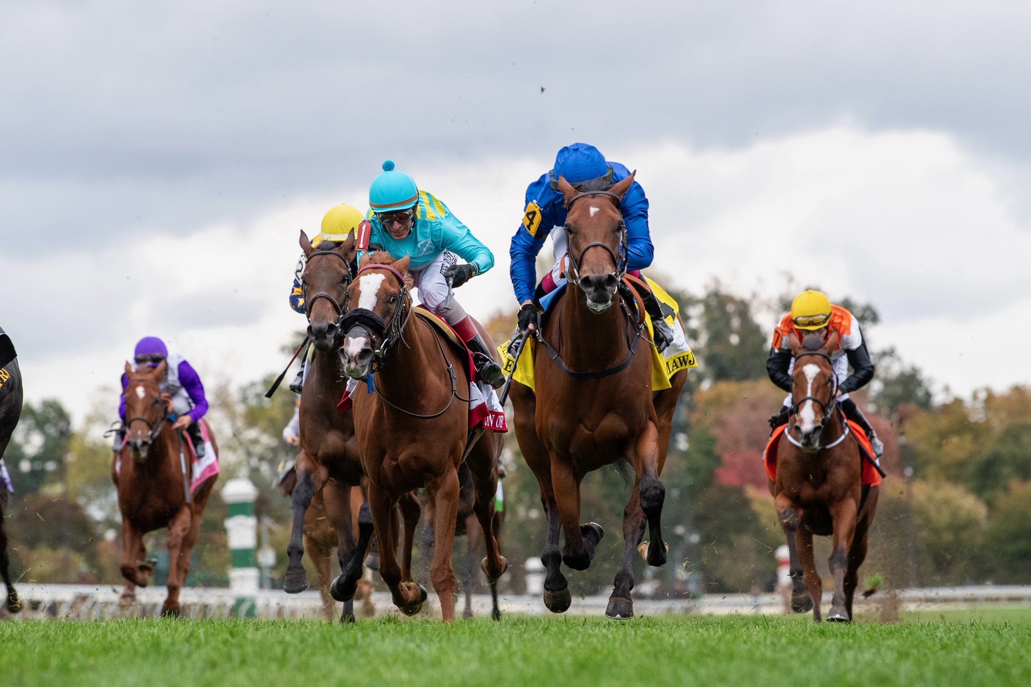 Mawj proves much the best in G1 Queen Elizabeth II Challenge Cup at ...