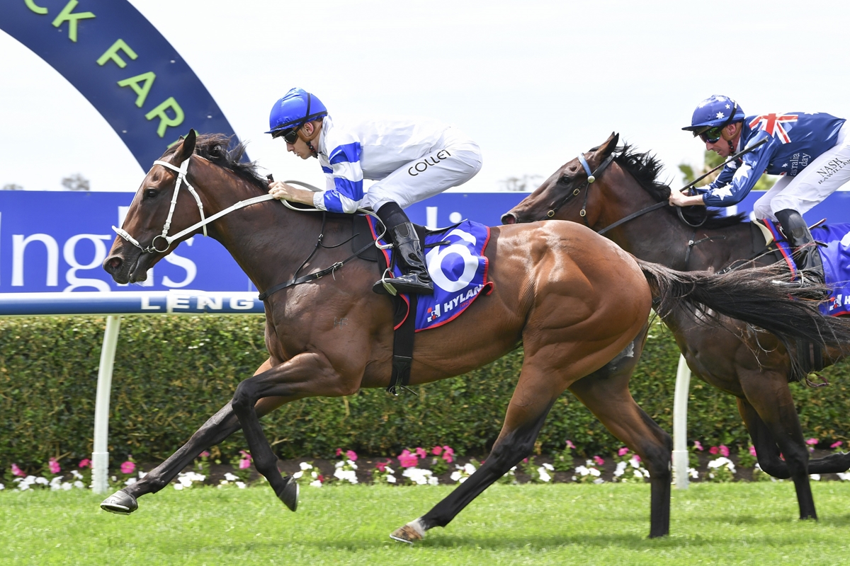Australia Day double for Harry Angel | Australia