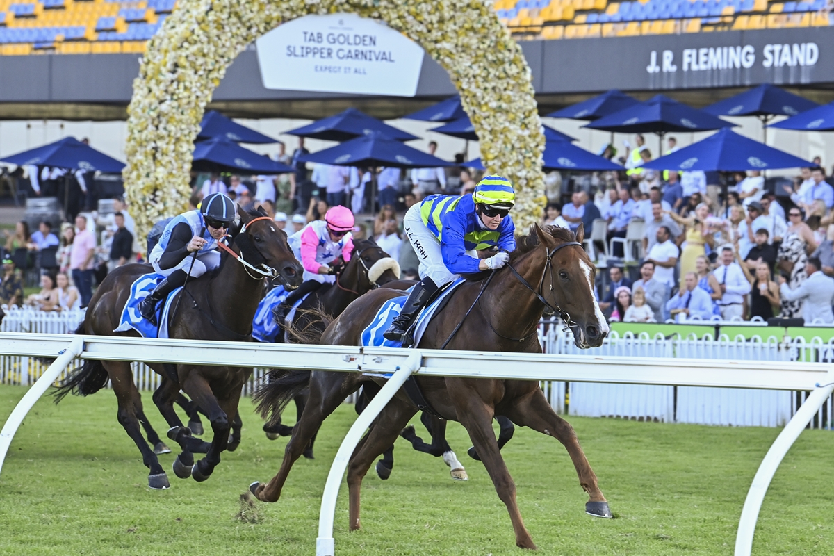 Another Wil on verge of G1 success gaining Doncaster run via his G3 win ...