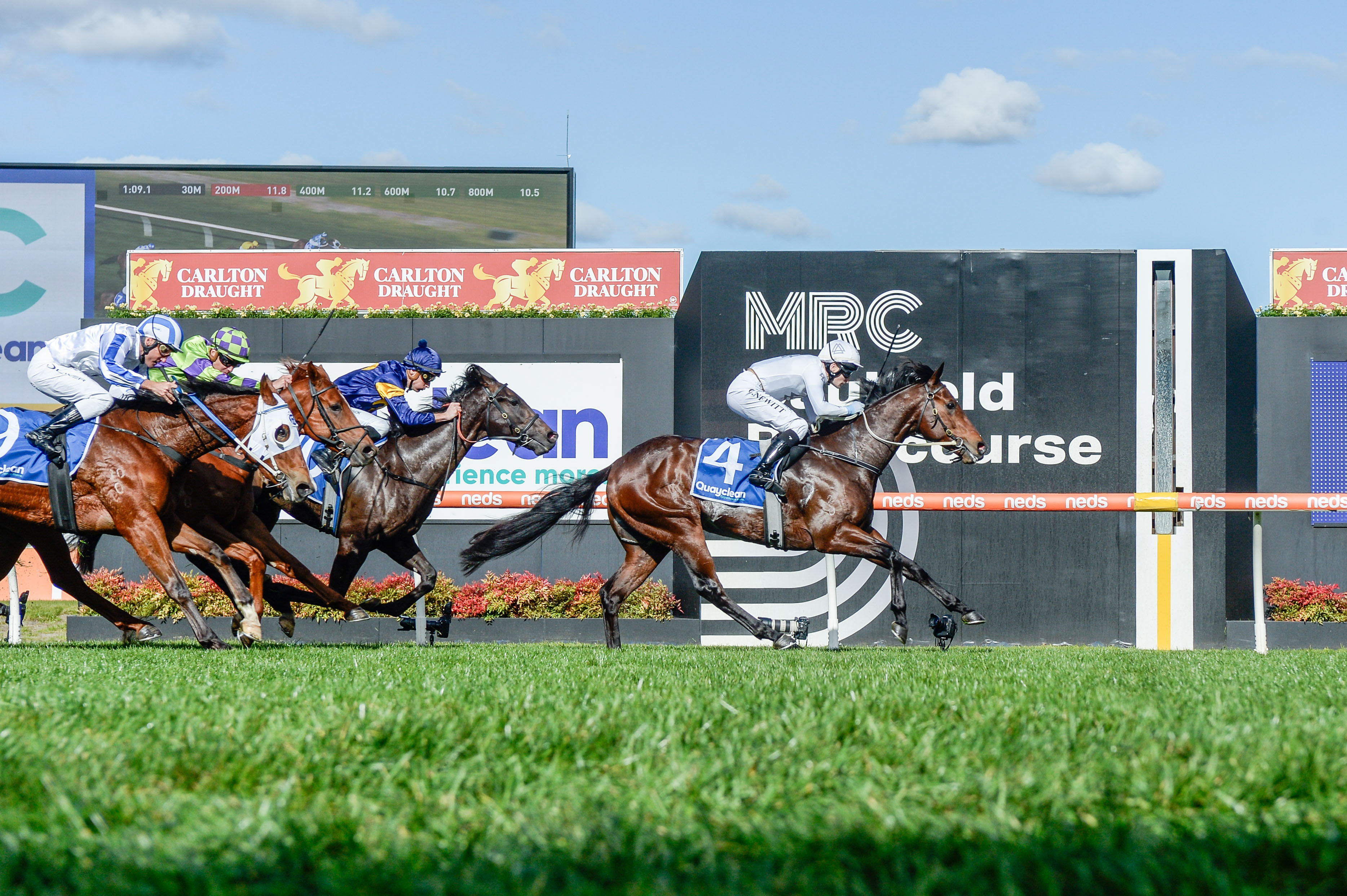 Harry Angel rises to the top | Australia