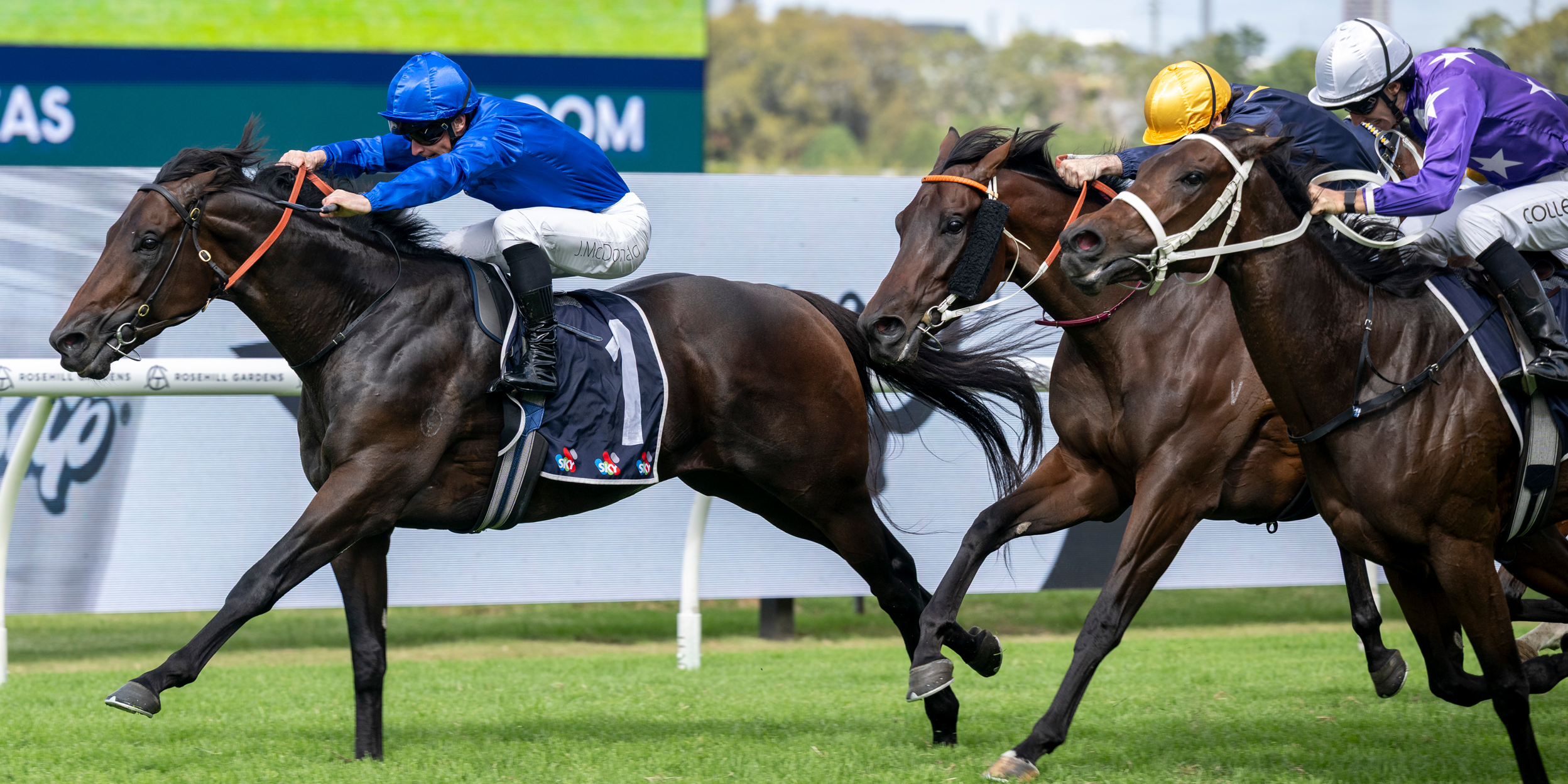 Broadsiding | Australia