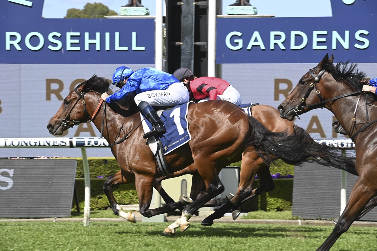 Golden Gift another triumph for Exceed And Excel | Australia