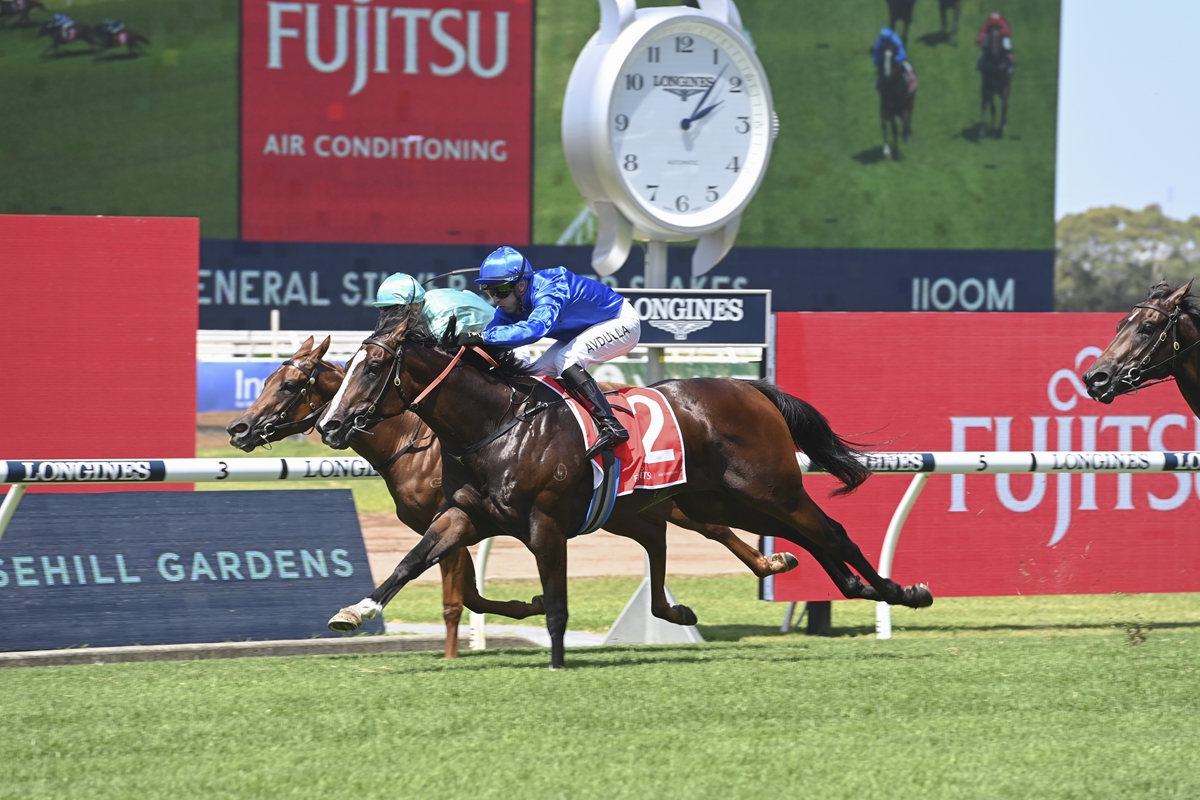 Silver Slipper perfect fit for Cylinder | Australia