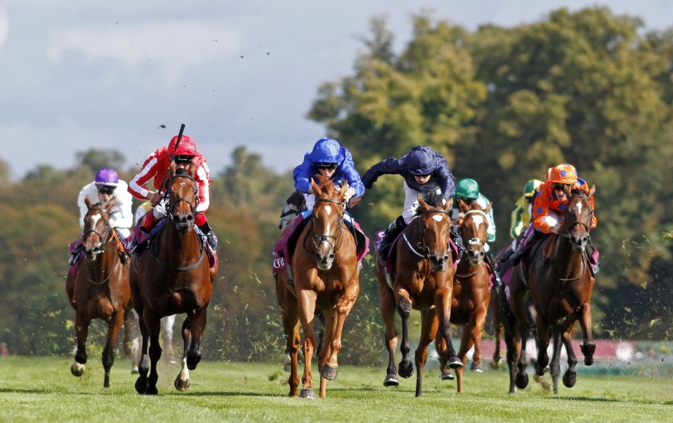 25 G1 winners for Dubawi | Europe