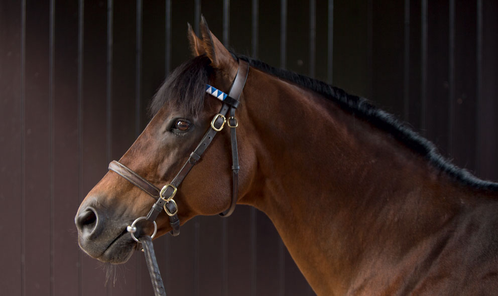 Zarak easily wins the G3 Dubai Millennium Stakes | Europe