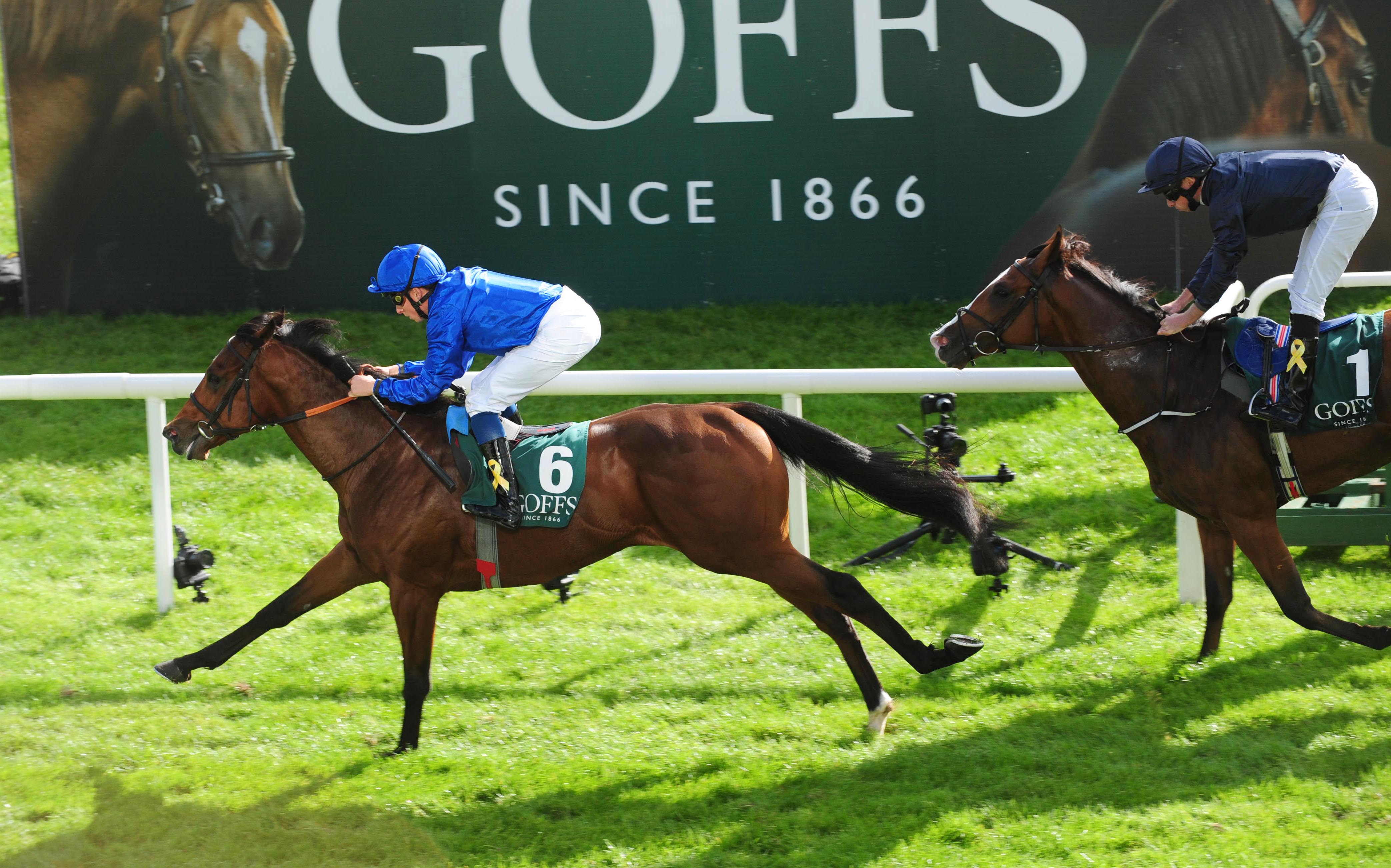 G1 double and Group-race treble for outstanding sire Dubawi | Europe