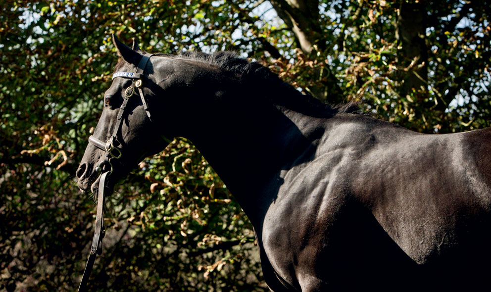 Time strikes again | Europe