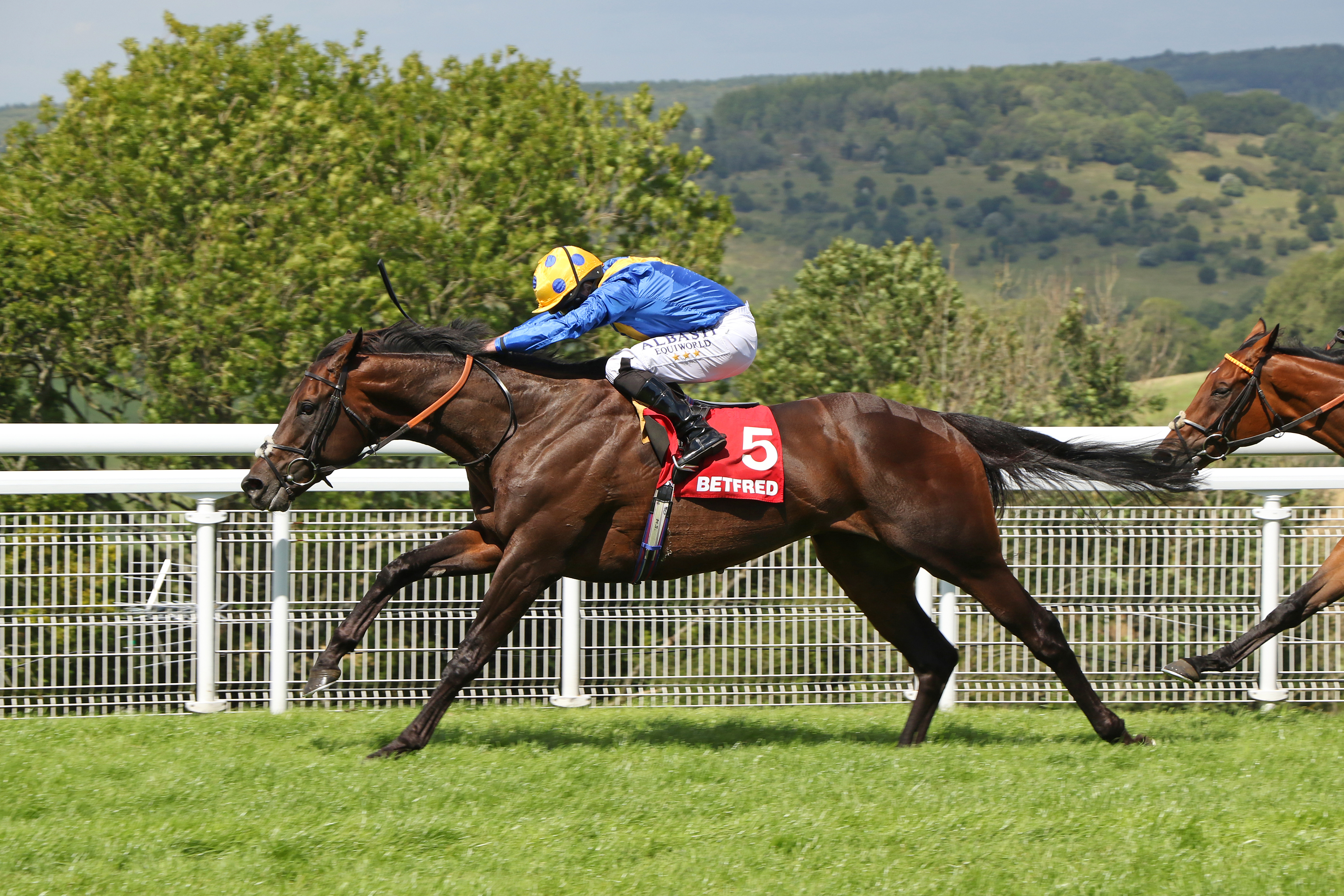 First Group victory for Poet’s Word | Europe