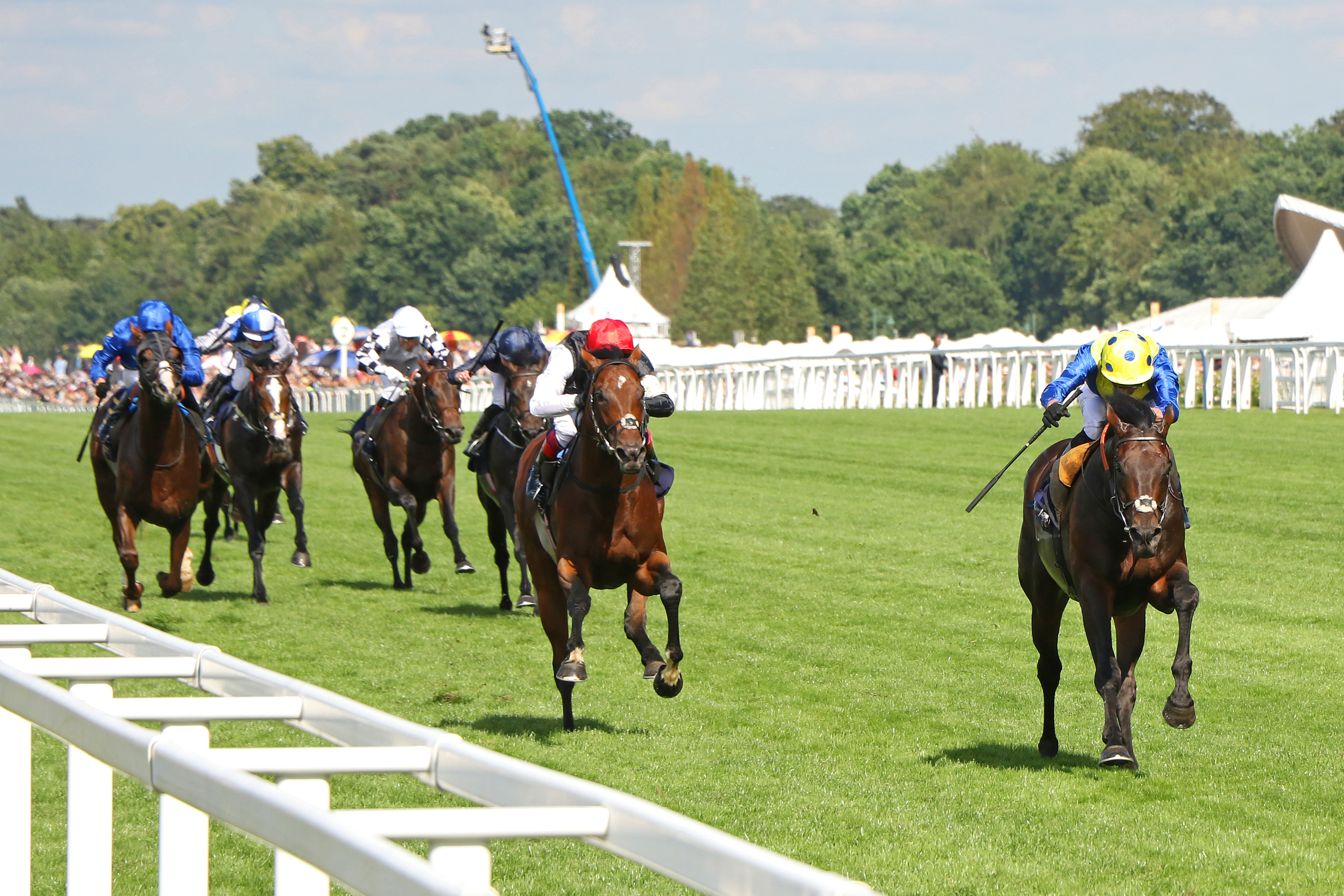 Brilliant first G1 win for Poet’s Word | Europe