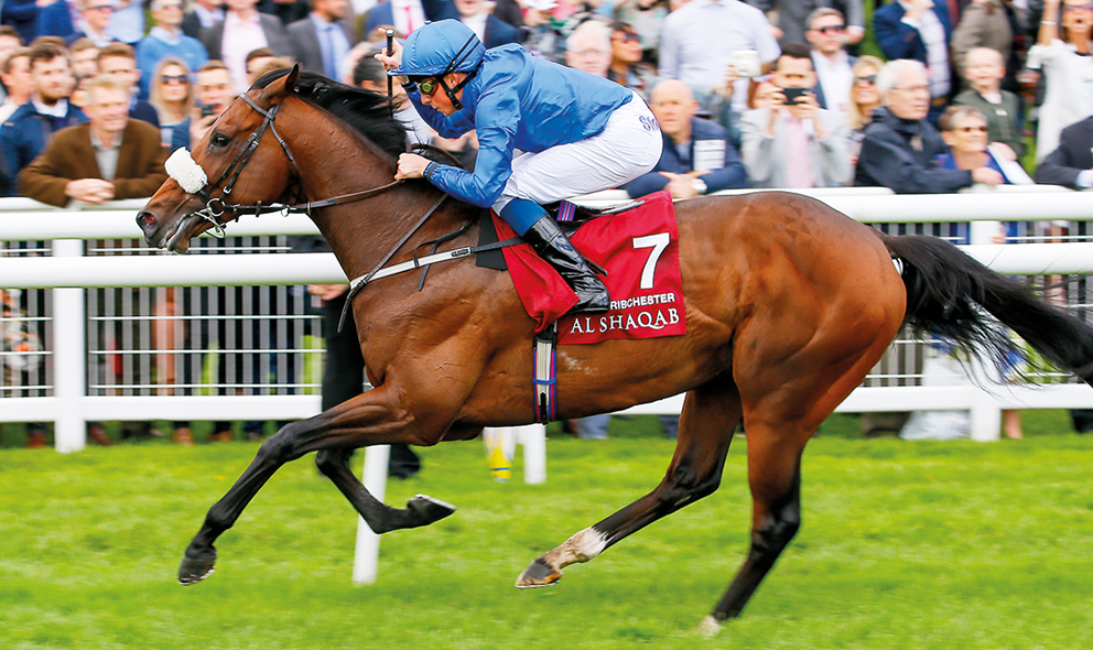 New arrivals for dual Champion miler Ribchester | Europe