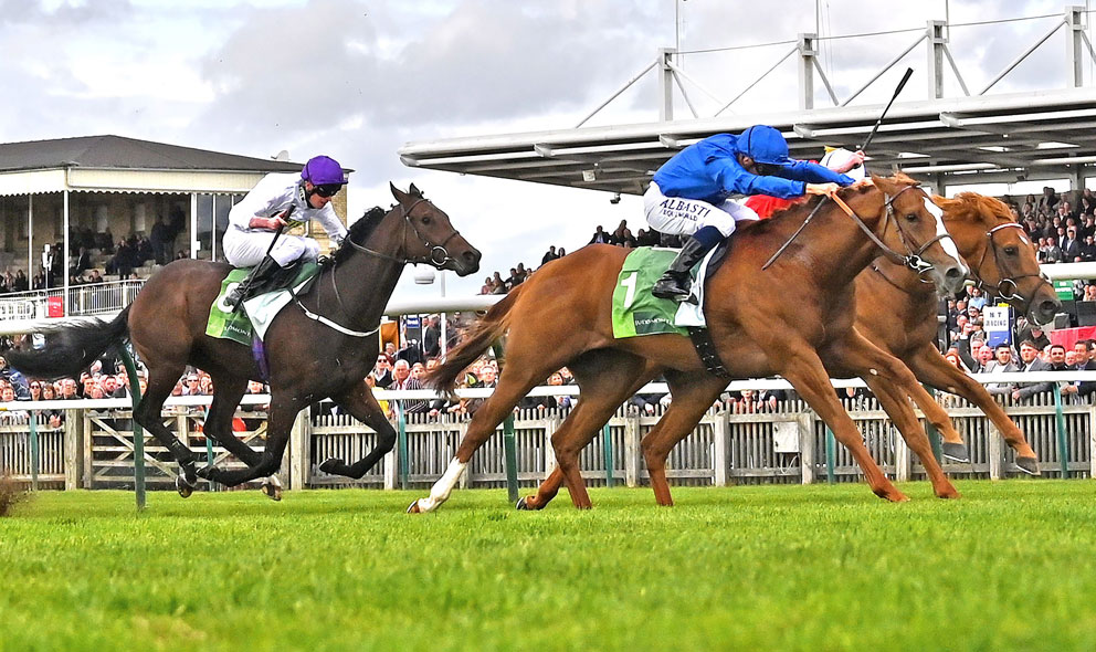 Earthlight to stand at Kildangan Stud | Europe