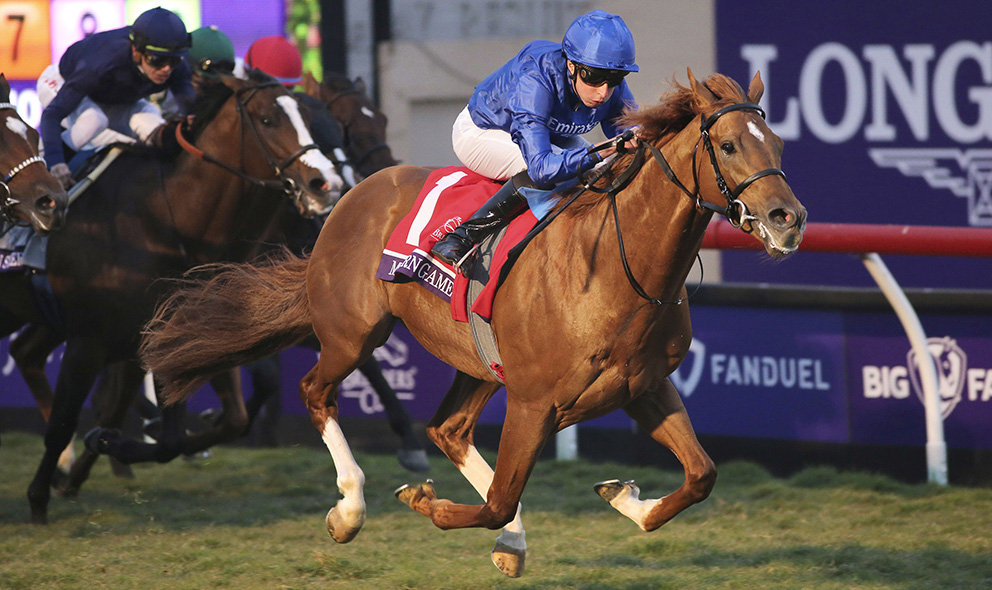 New stallions off to a flying start | Europe