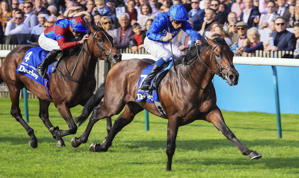 Native Trail to stand at Kildangan Stud | Europe