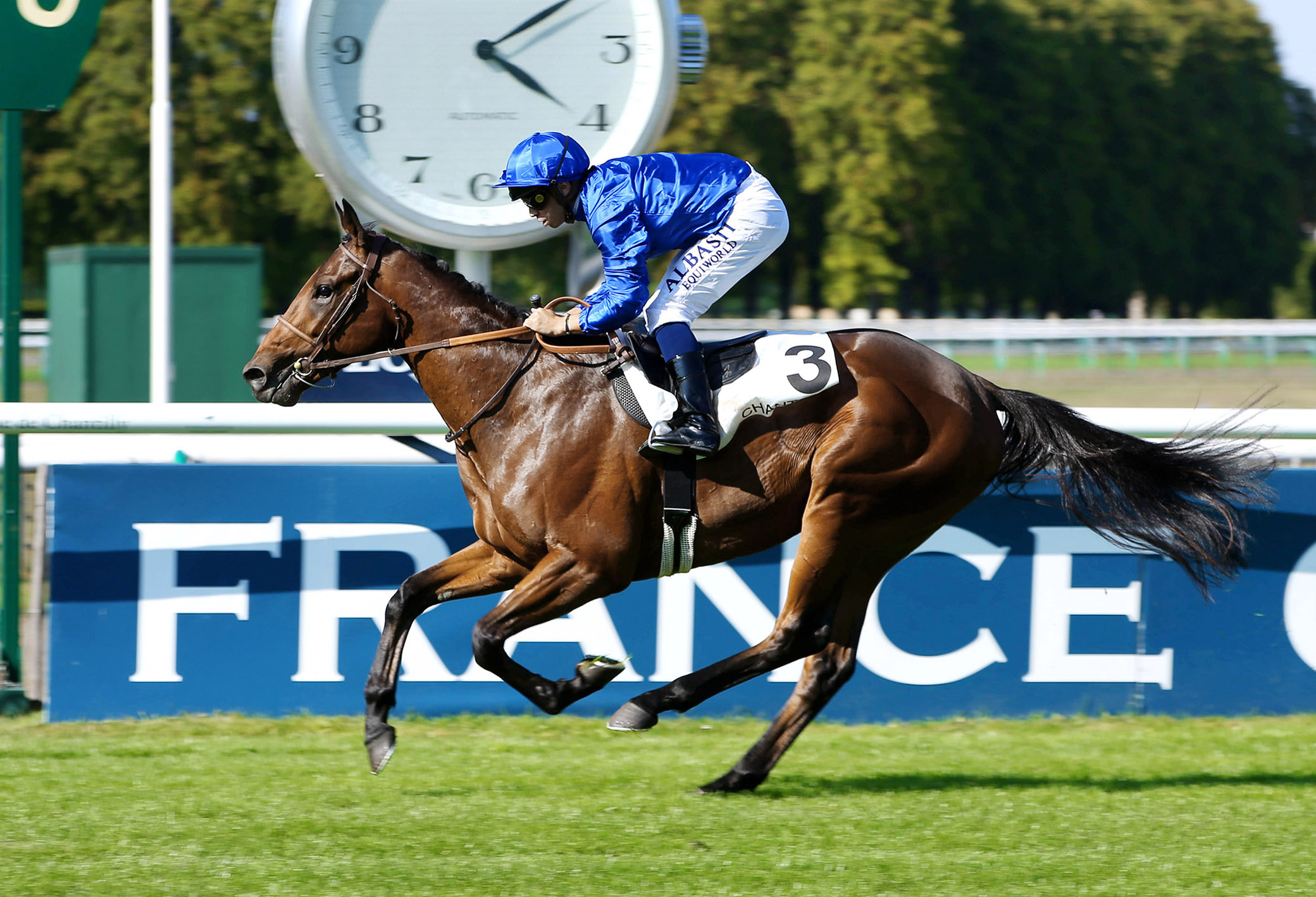 Classic winner Victor Ludorum to stand in France | Europe