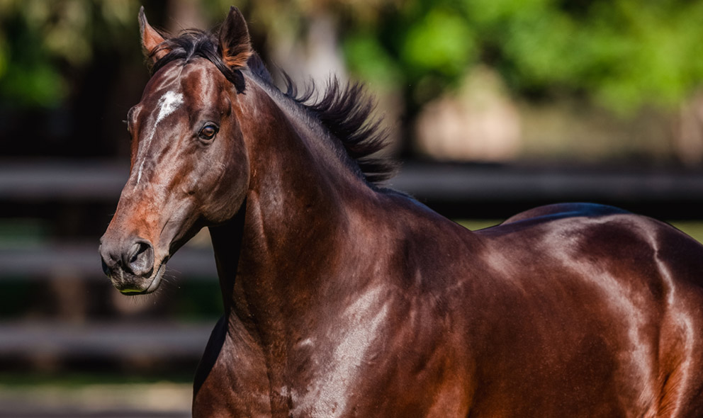 The winners keep coming for Blue Point | Europe