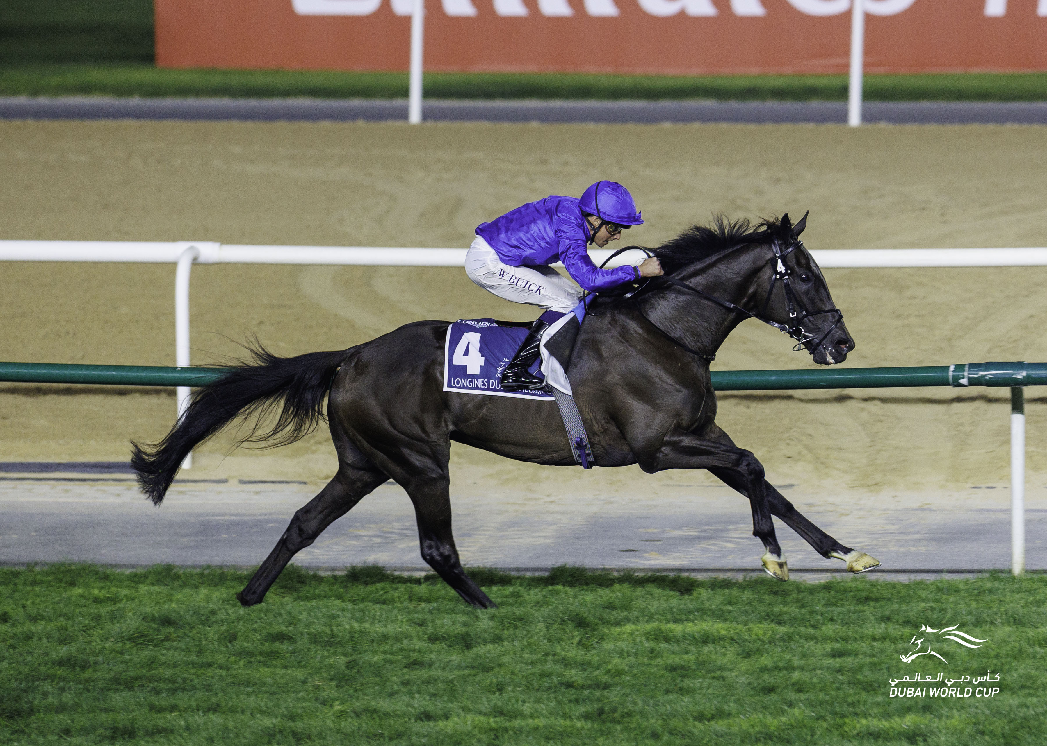 G1 Sheema Classic triumph for Rebel's Romance | Europe