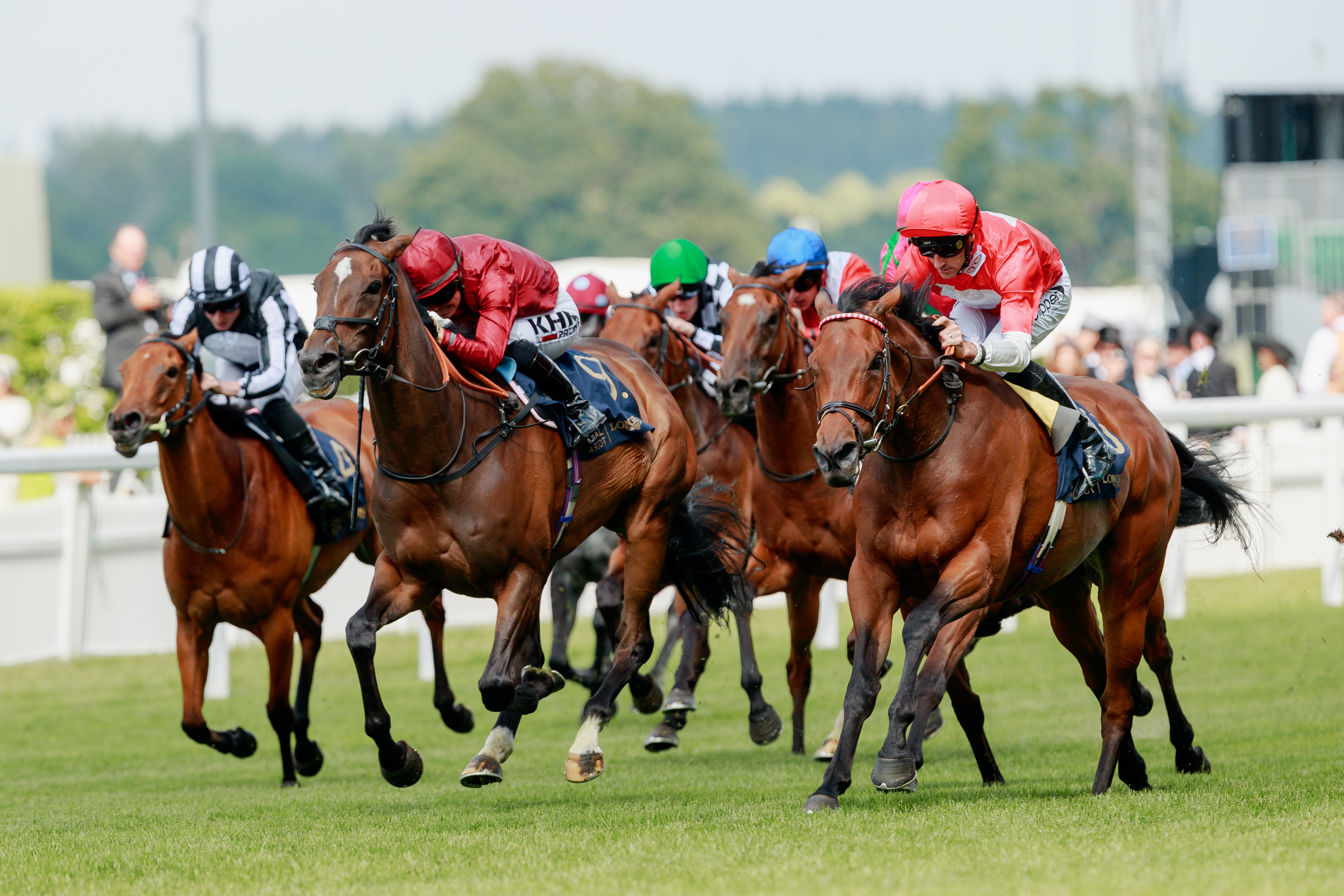 Leading Royal Ascot sire Dubawi adds a 24th winner at the meeting to ...