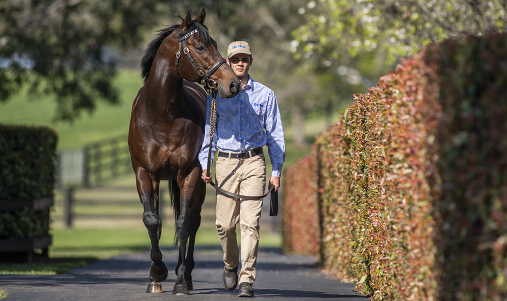 Tom Kitten powers to G3 Up And Coming victory for Harry Angel | Australia