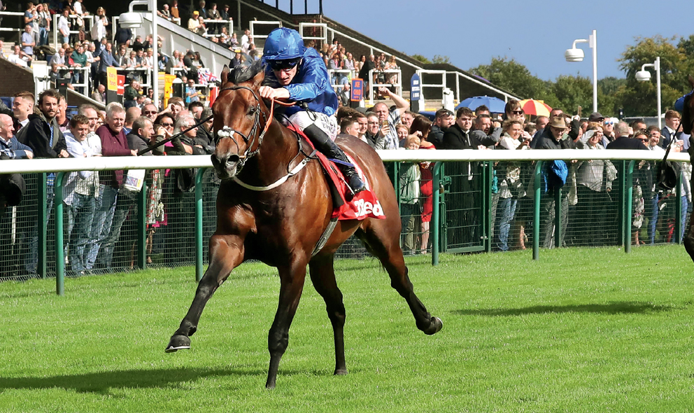 World Champion sprinter Harry Angel to stand in Australia in 2019 ...