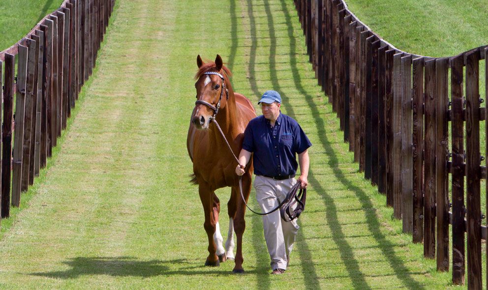Darley-sired 1-2 in Listed Prix de l’Avre | Europe