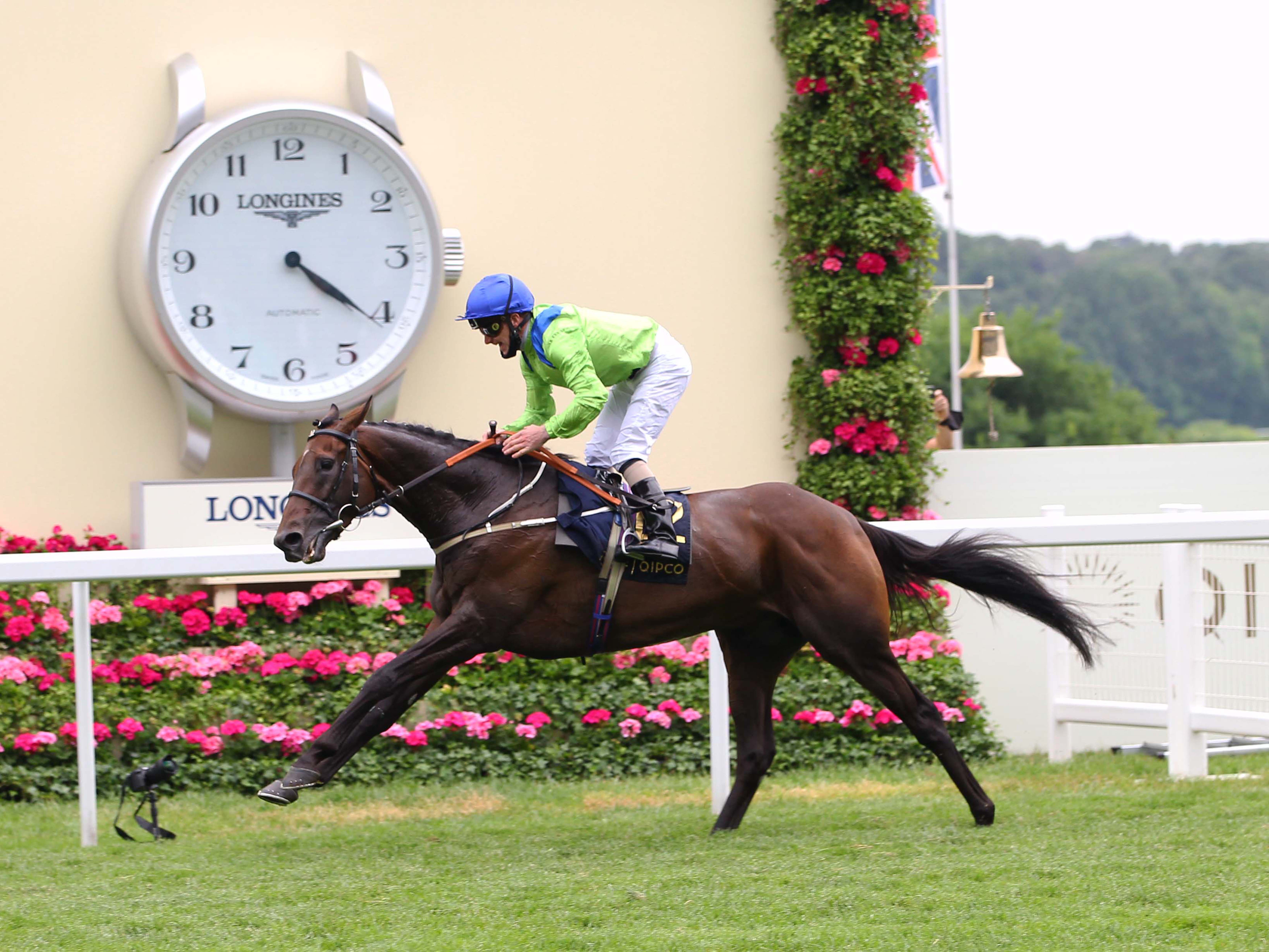 Gold Cup glory for Teofilo | Europe