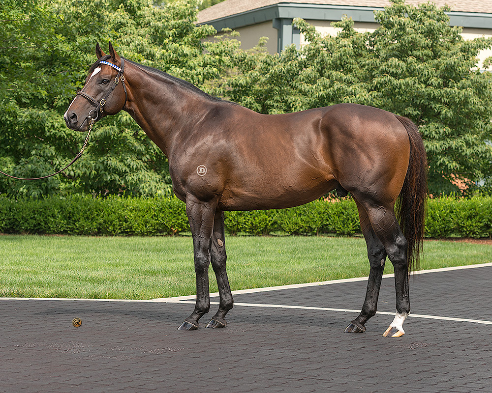 Not just Medaglia d’Oro’s best son... | America