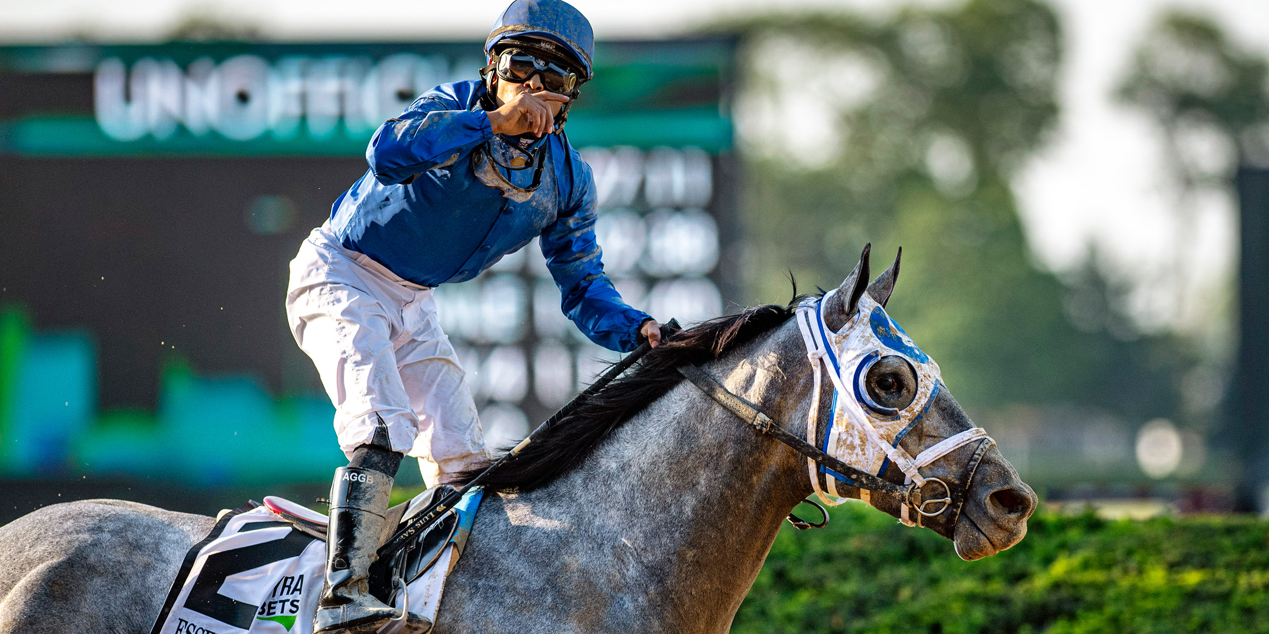 Essential Quality’s first foals arrive | America