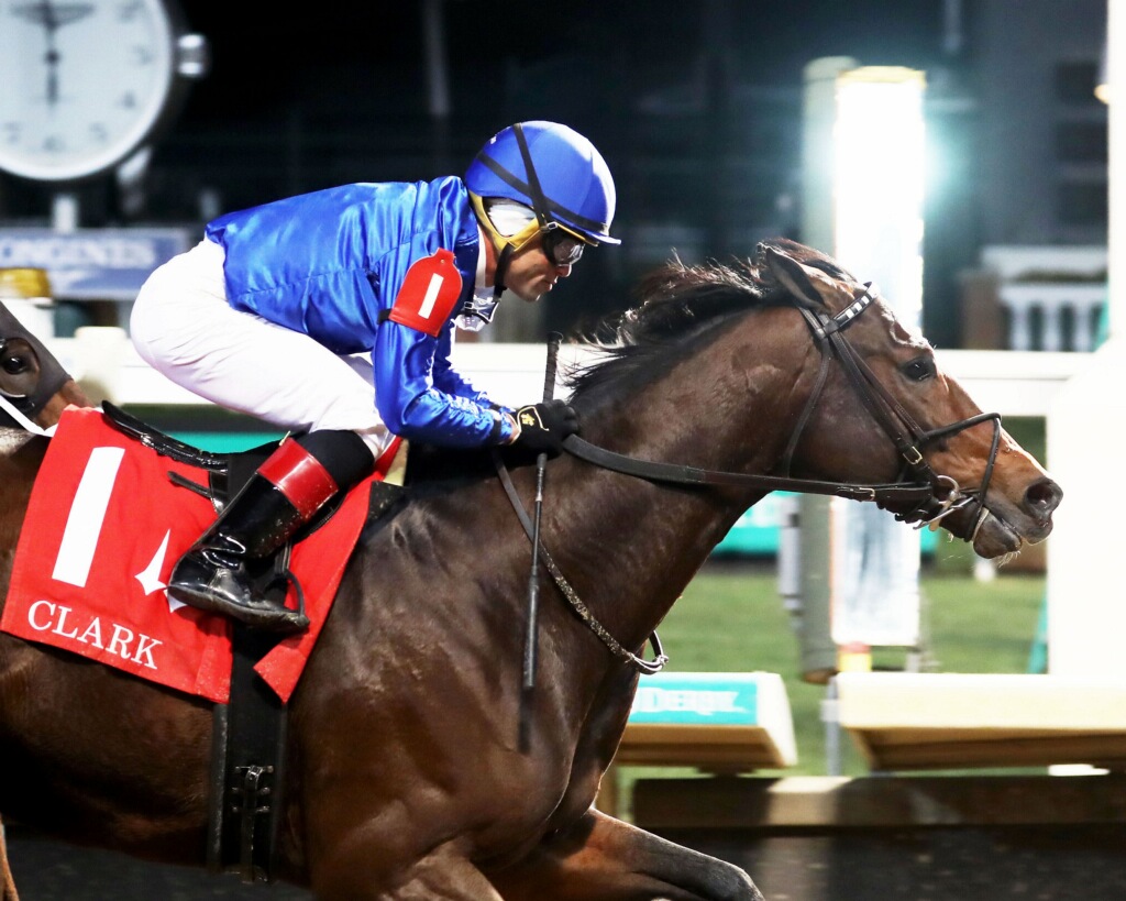 Proxy makes a winning statement in G1 Clark Stakes at Churchill Downs ...