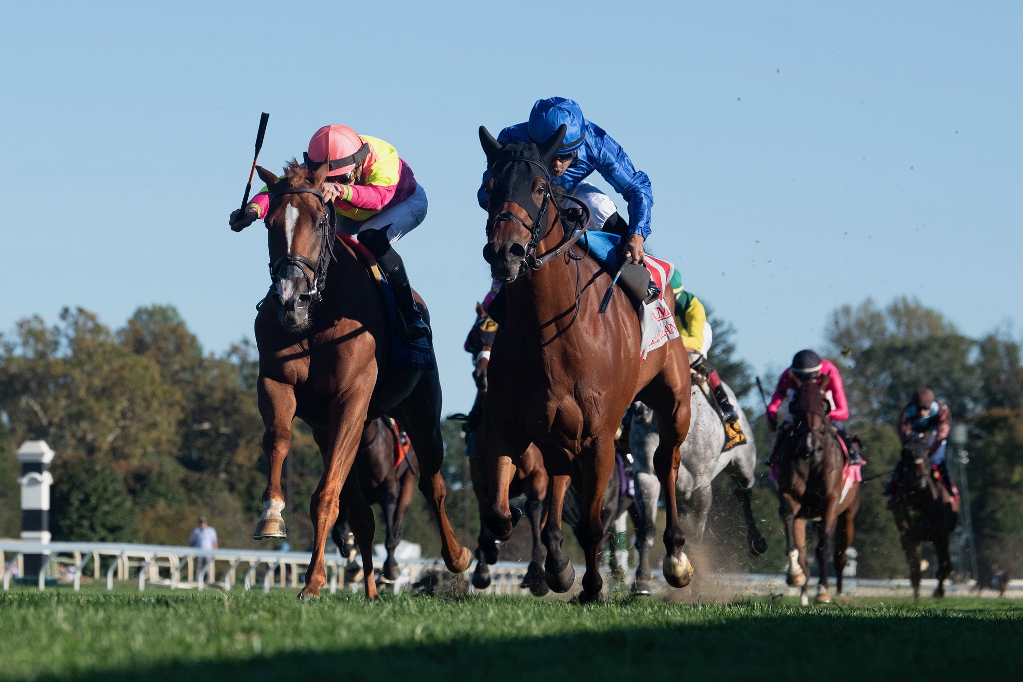 Highway Robber strikes again in KY Downs Preview Turf Cup at Ellis Park ...