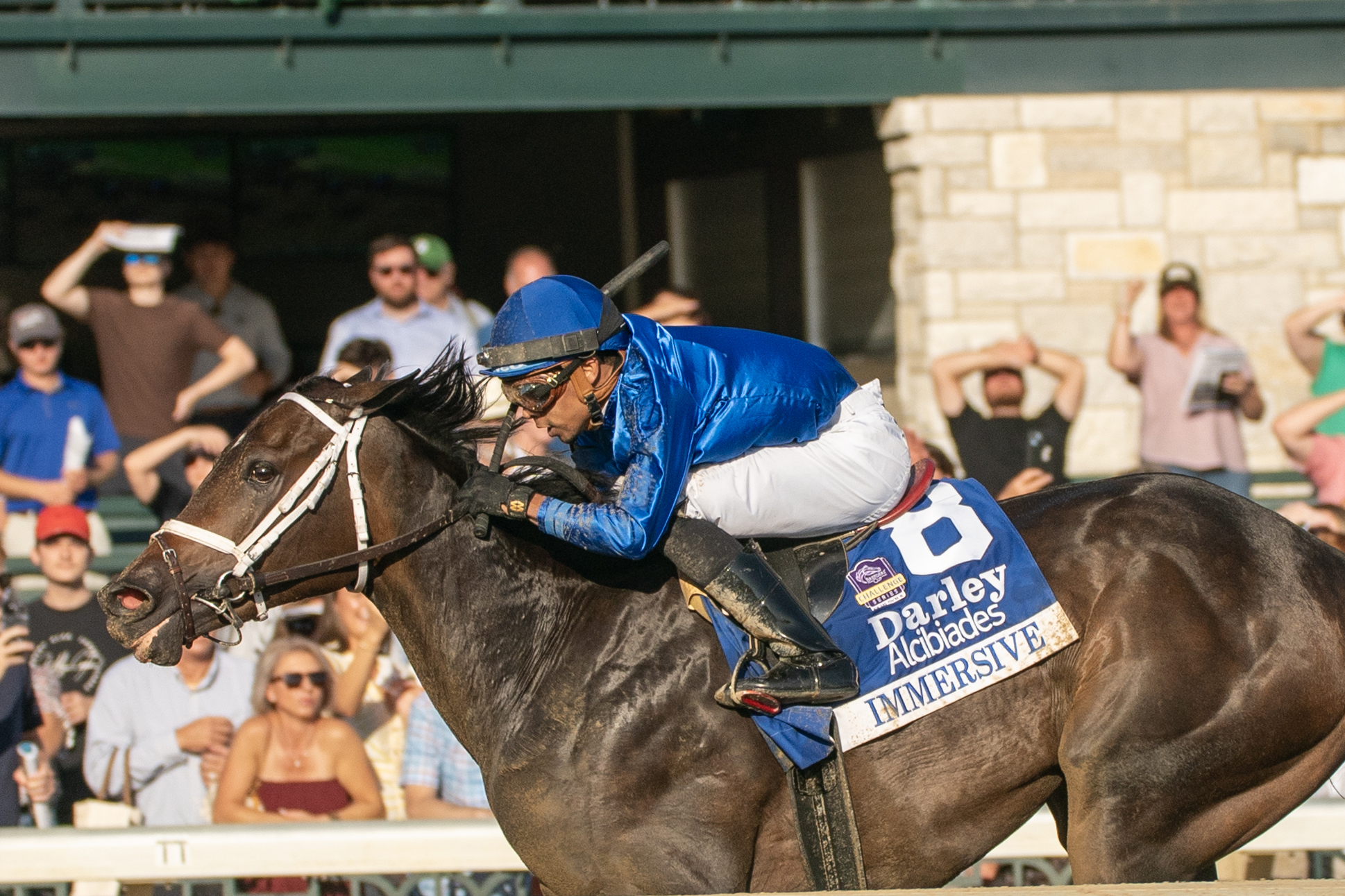 Immersive returns to form to take Seneca Overnight Stakes | America