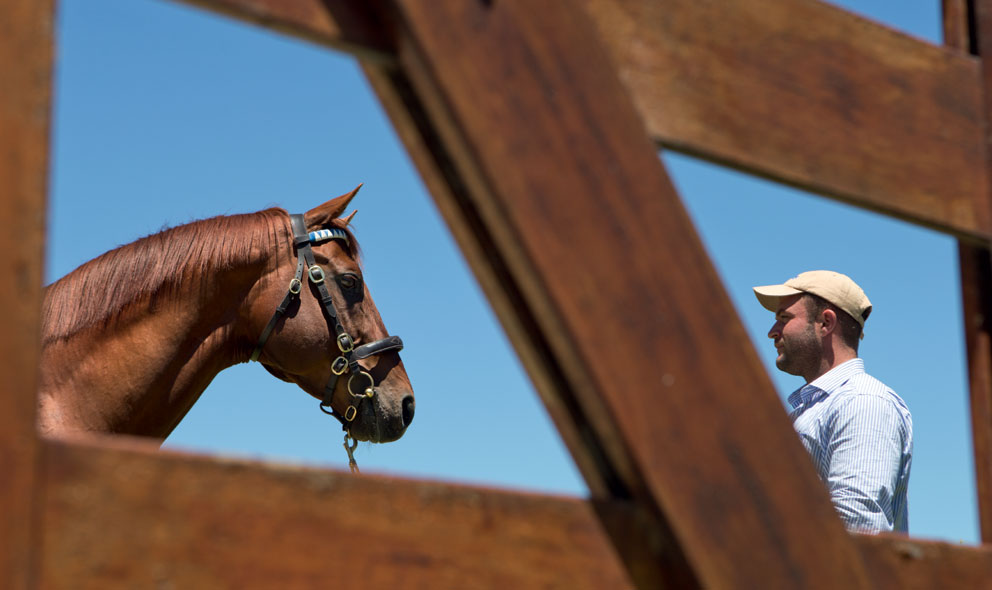 Street Life powers to victory in Adelaide Hills Railway Stakes | Australia