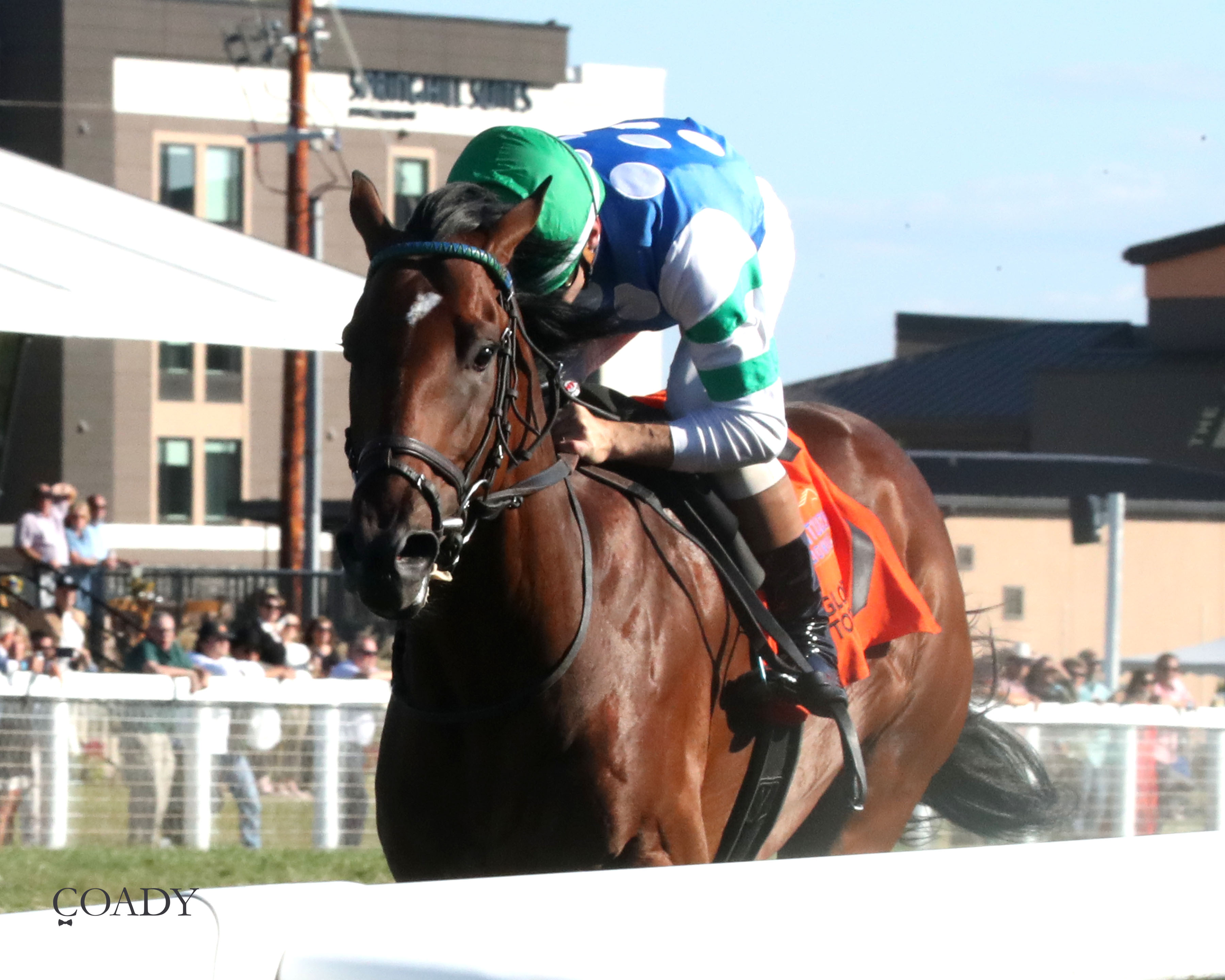 Beast Mode: Street Beast wires the field to win Leonatus Stakes at ...