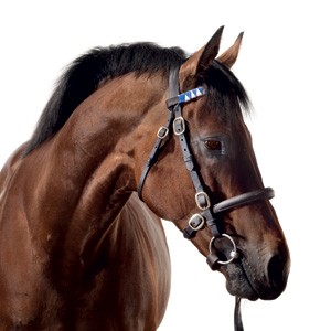 New Classic contender for Dubawi | Europe