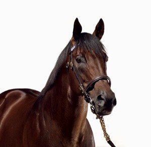 Right back on track | America